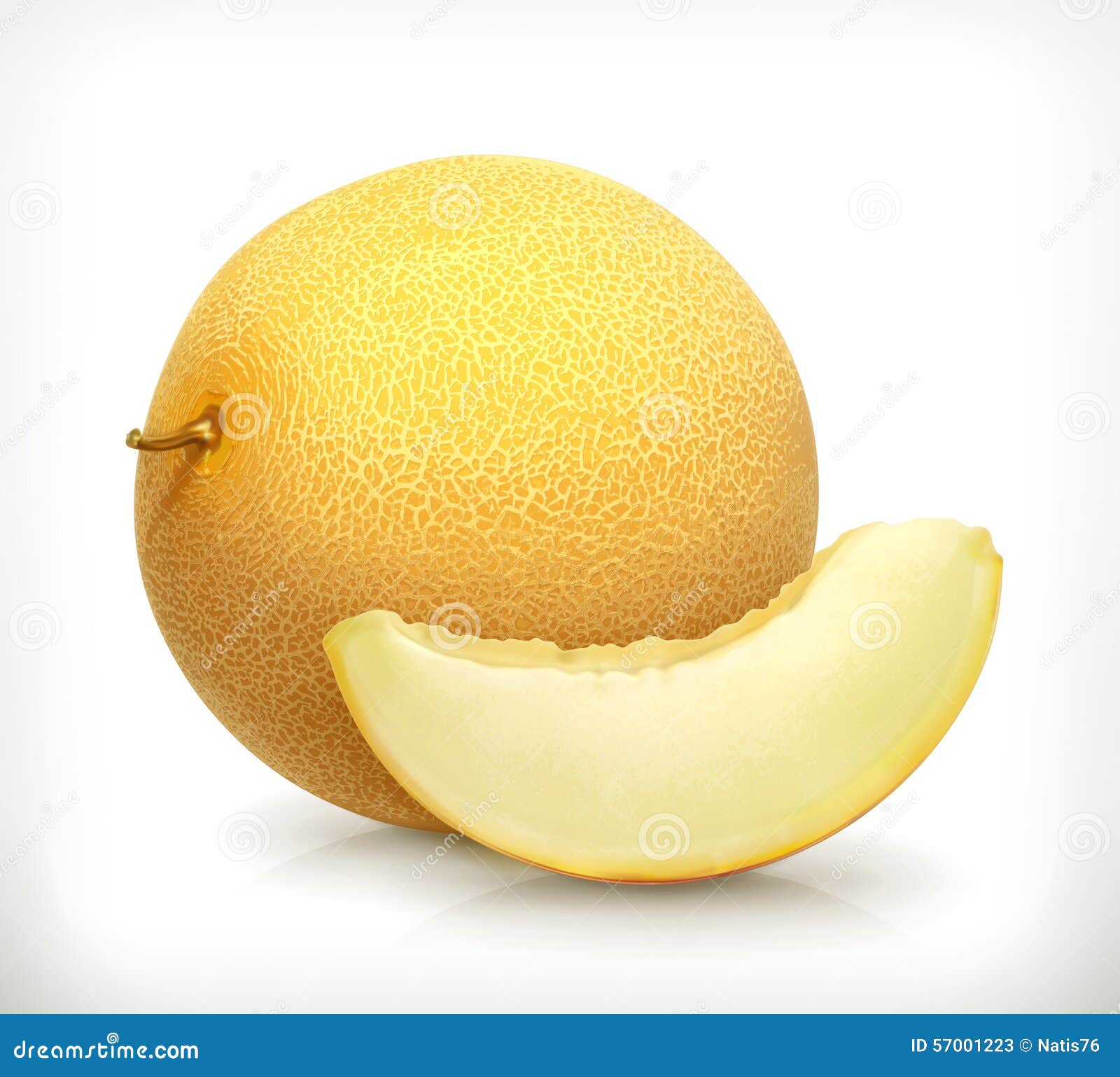 Melon vector icon stock vector. Illustration of cantaloupe - 57001223