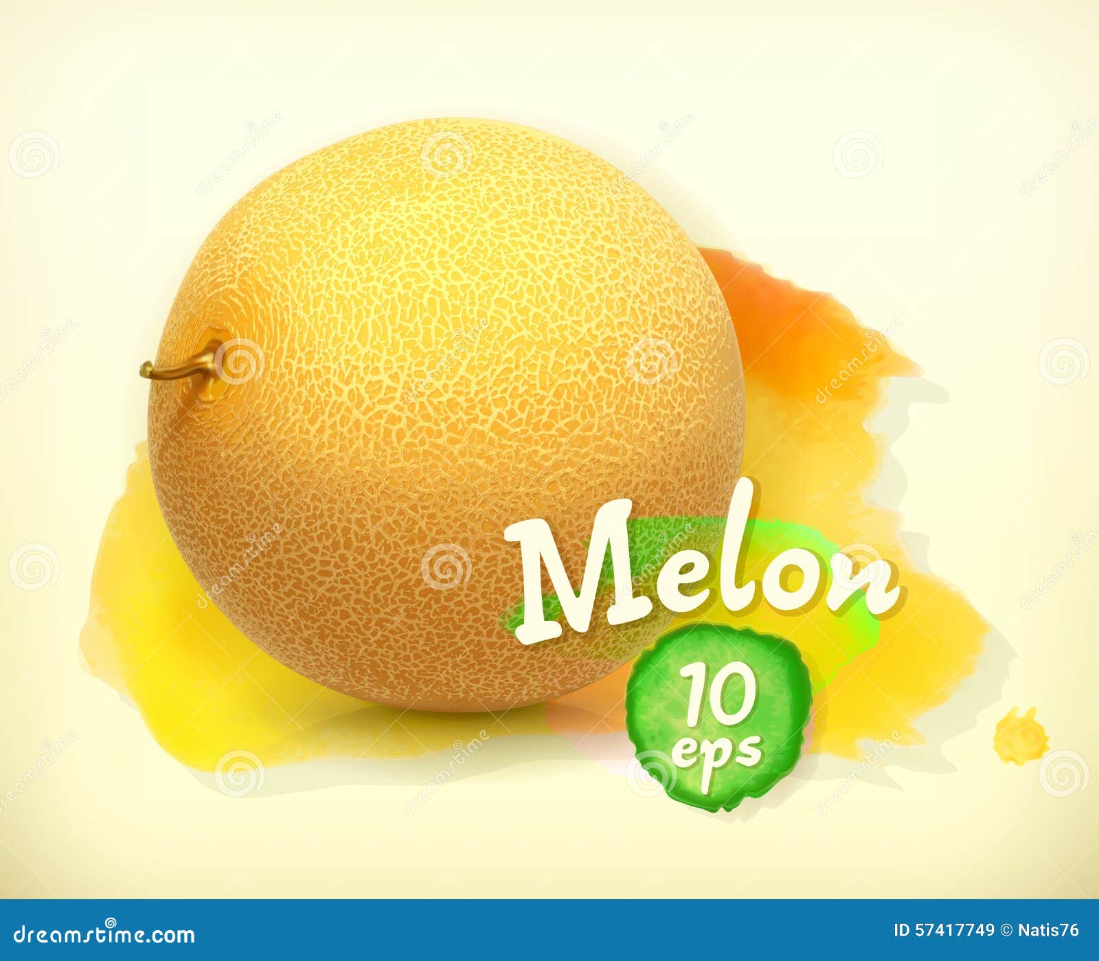 Melon vector illustration stock vector. Illustration of object - 57417749