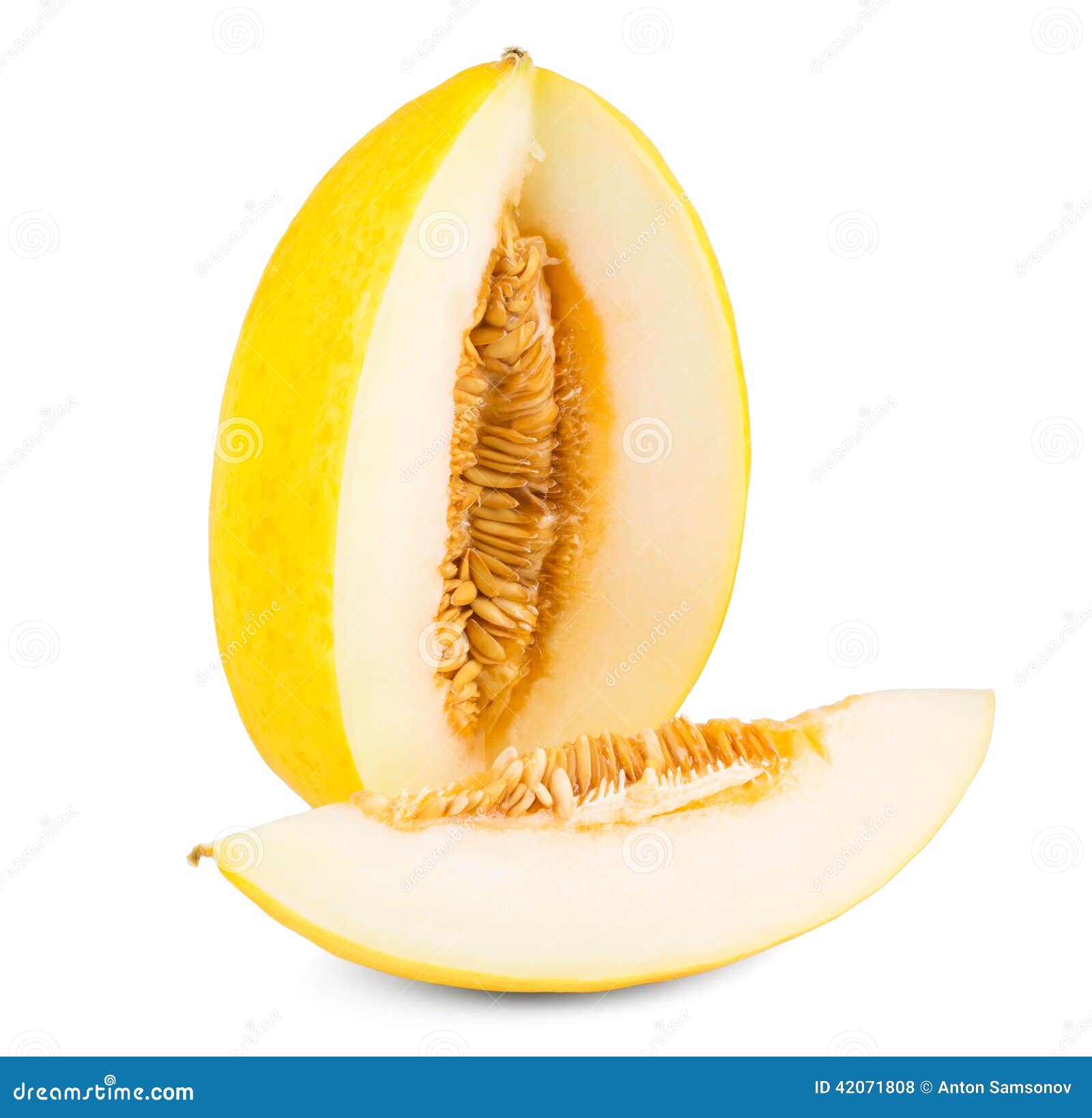 Melon stock photo. Image of single, background, close - 42071808