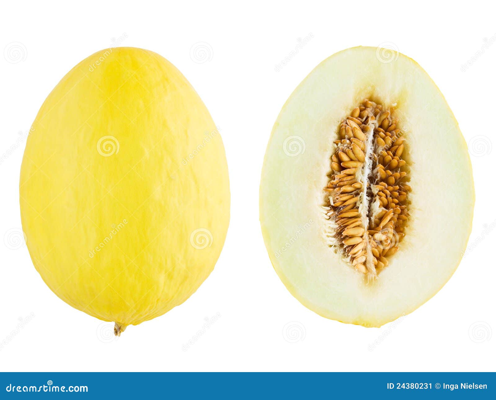 Melone Color Giallo Canarino Immagine Stock - Immagine di alimento ...