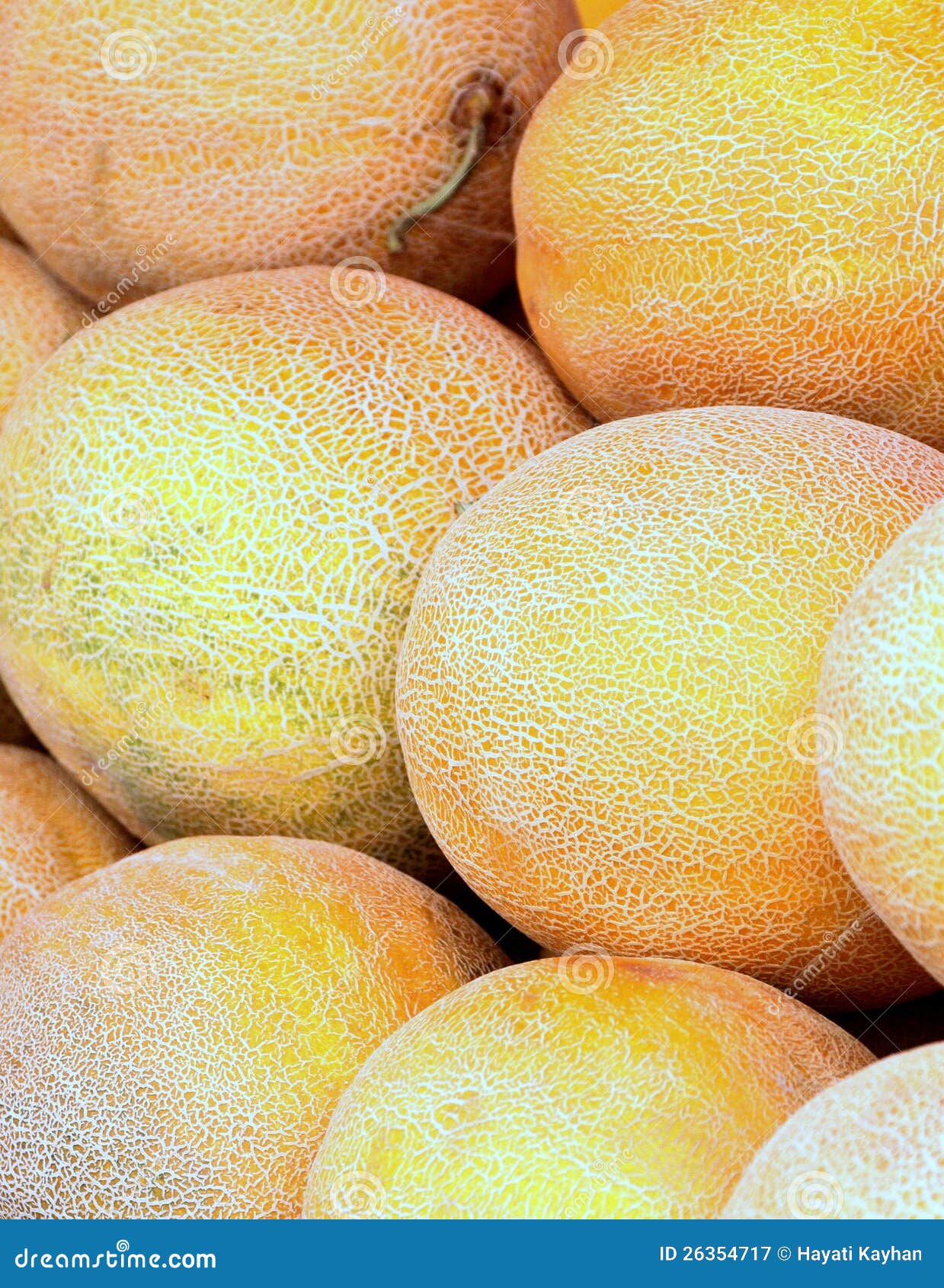 Melones de Galia imagen de archivo. Imagen de fragante - 26354717