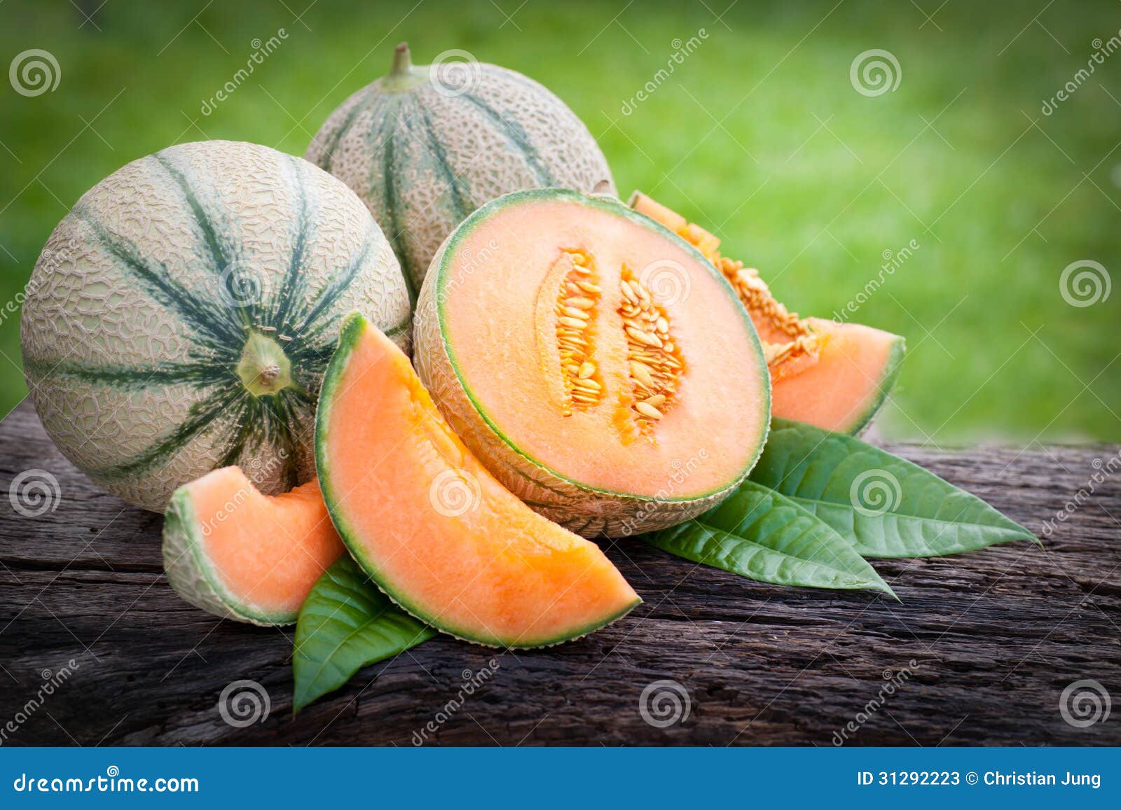 Melones frescos imagen de archivo. Imagen de nutritivo - 31292223