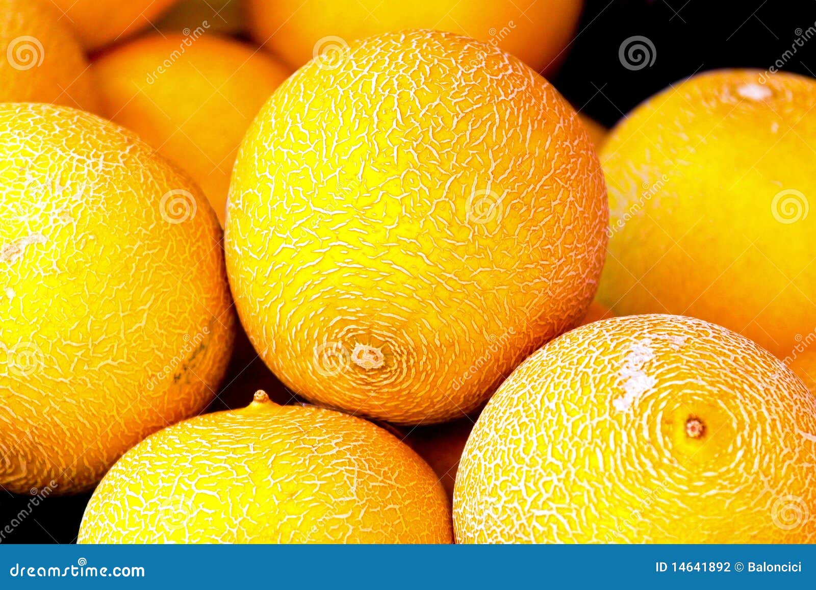 Melons stock photo. Image of bunch, vegetable, sweet - 14641892