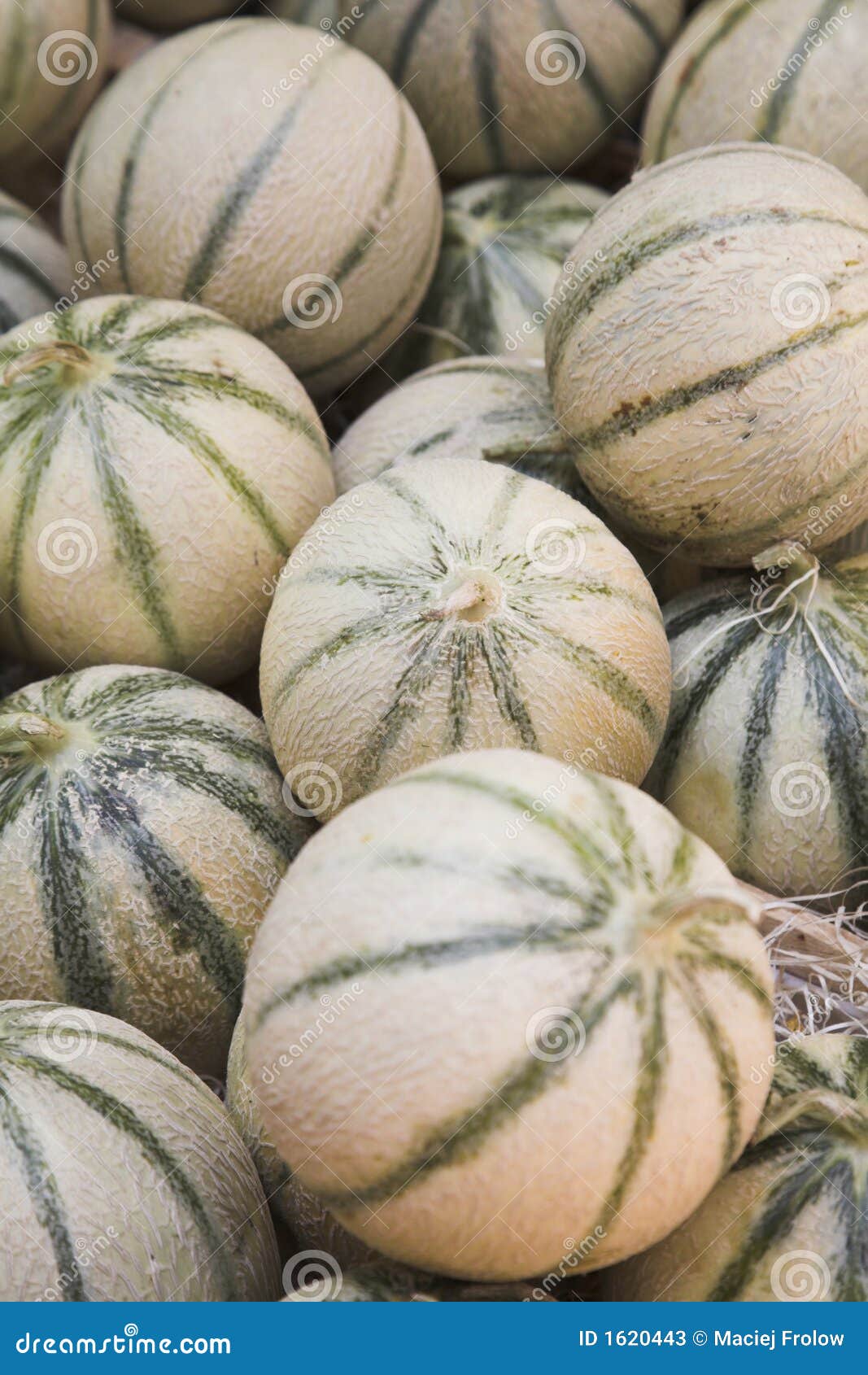 Melons stock image. Image of rind, savory, snack, fruit - 1620443