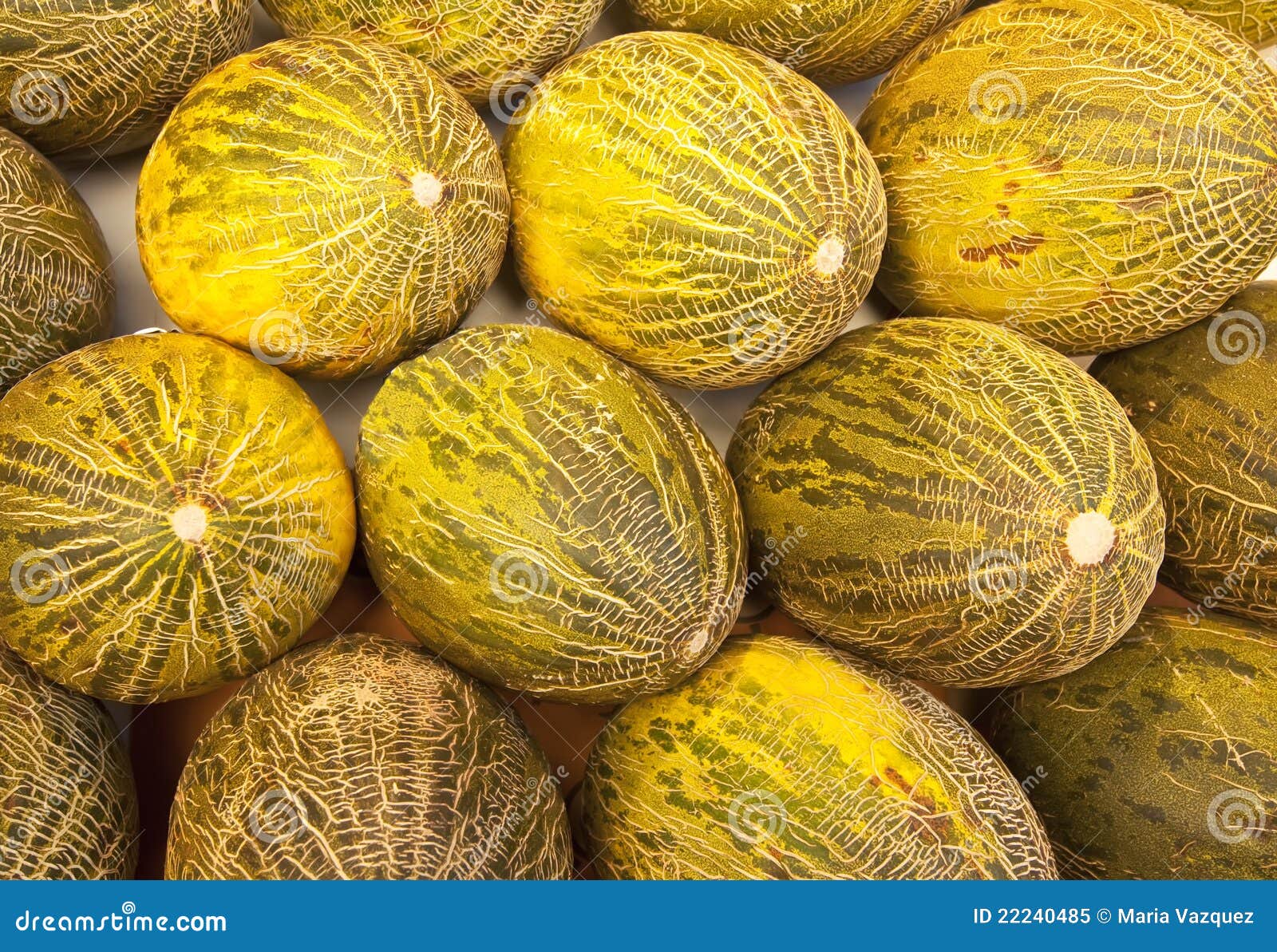 Melons stock image. Image of season, vegetarian, colorful - 22240485