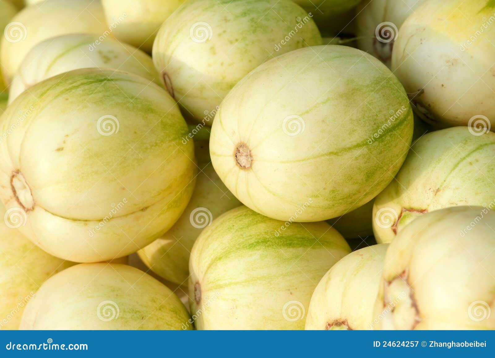 Melons stock image. Image of fruitage, fresh, white, eating - 24624257
