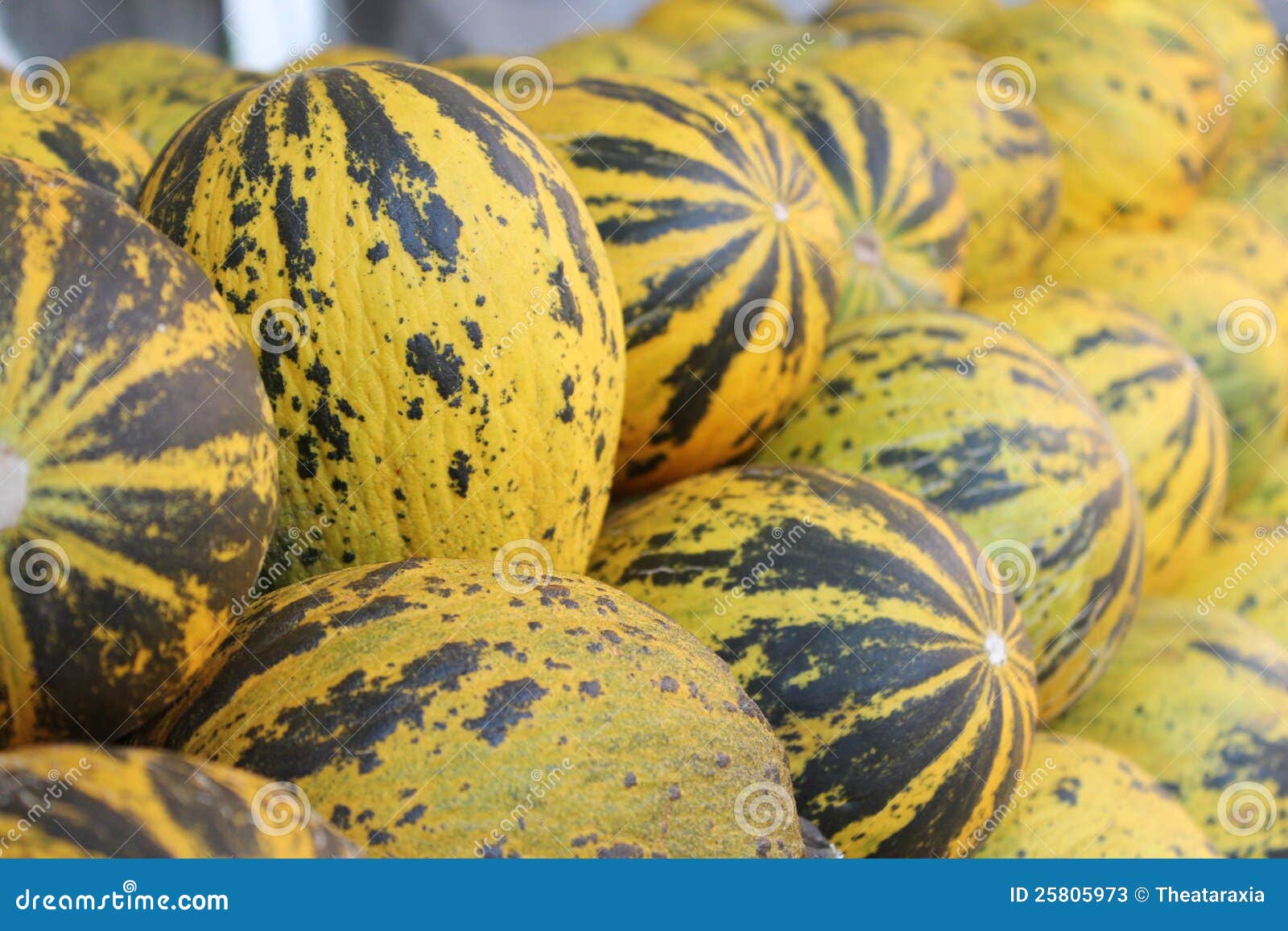 Melons stock image. Image of flavourful, autumn, food - 25805973