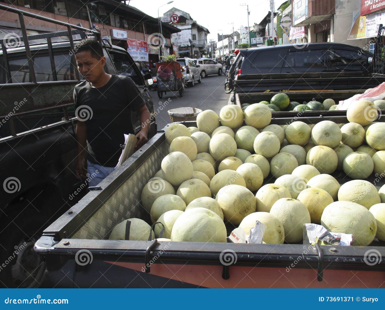 Melons editorial photo. Image of farmer, vehicle, solo - 73691371