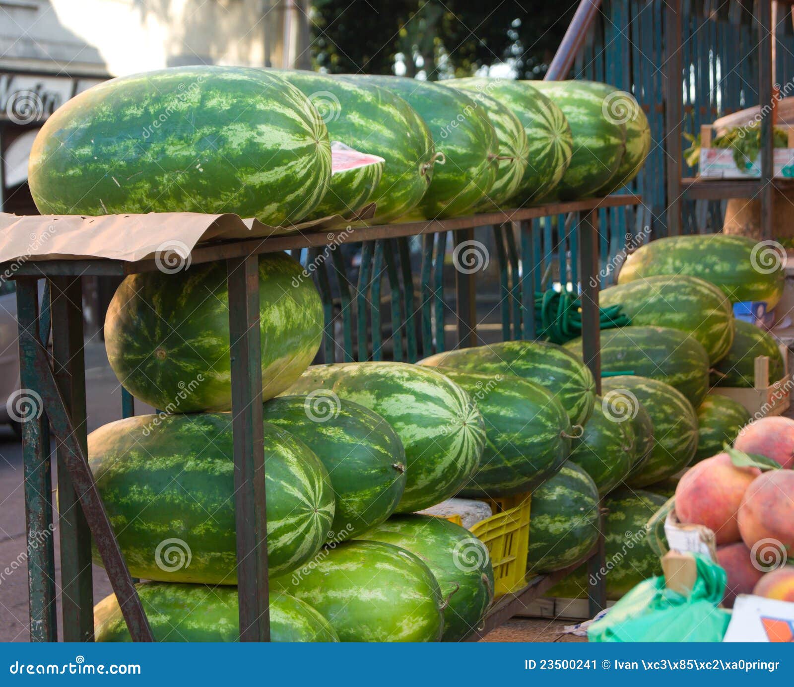 Melons at the market stock image. Image of shop, food - 23500241