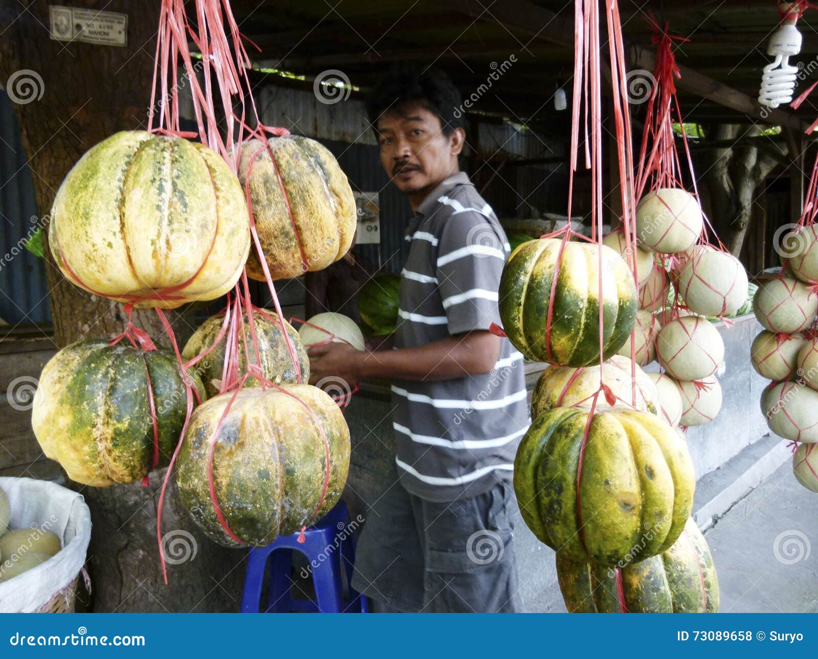 Melons editorial stock photo. Image of gourd, vegetable - 73089658