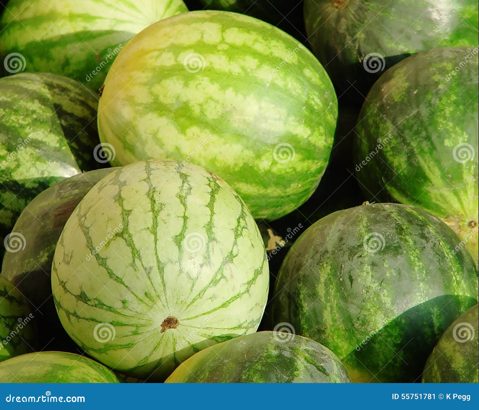 Melons stock image. Image of breakfast, market, tropical - 55751781