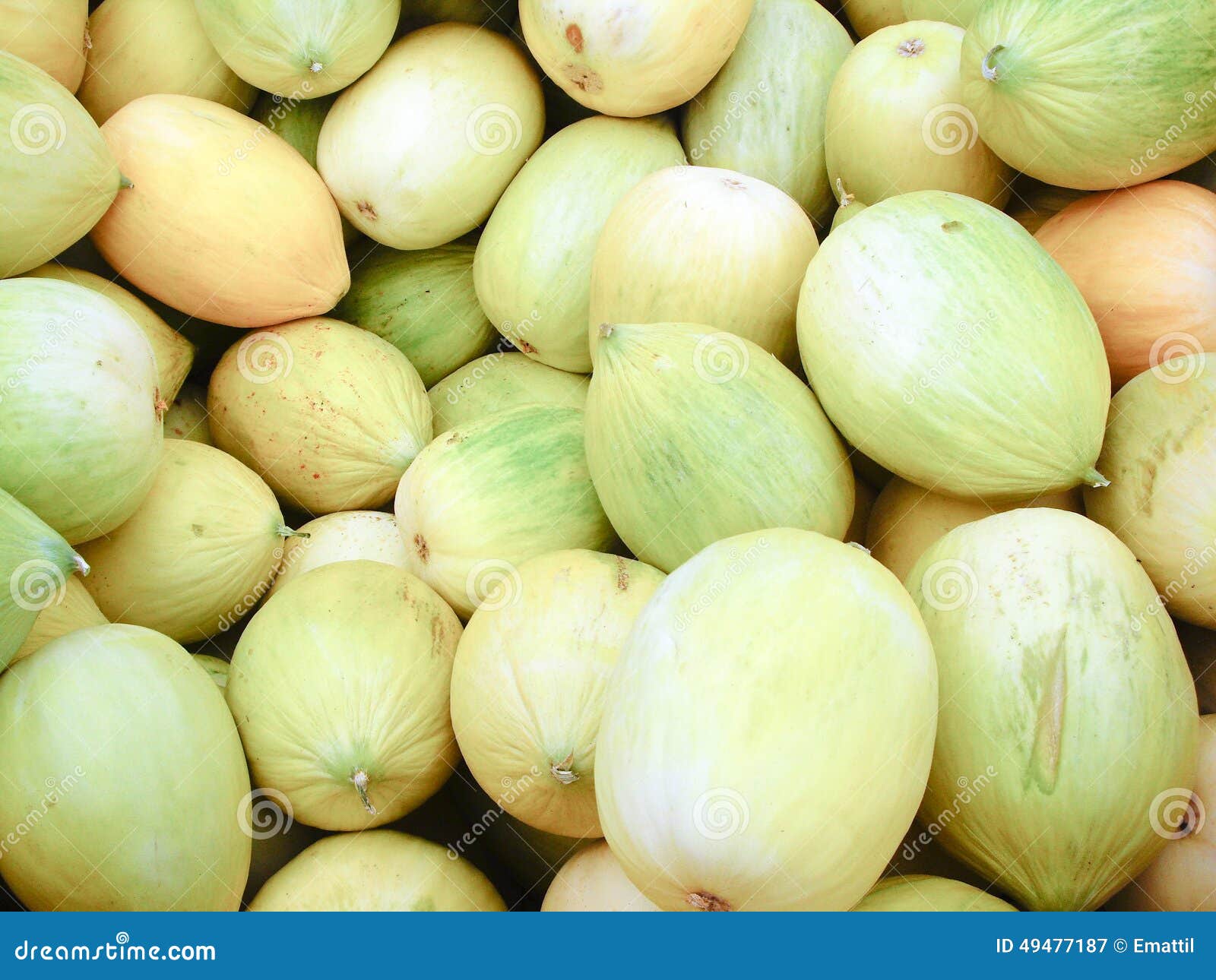 Melons stock image. Image of produce, california, fresh - 49477187