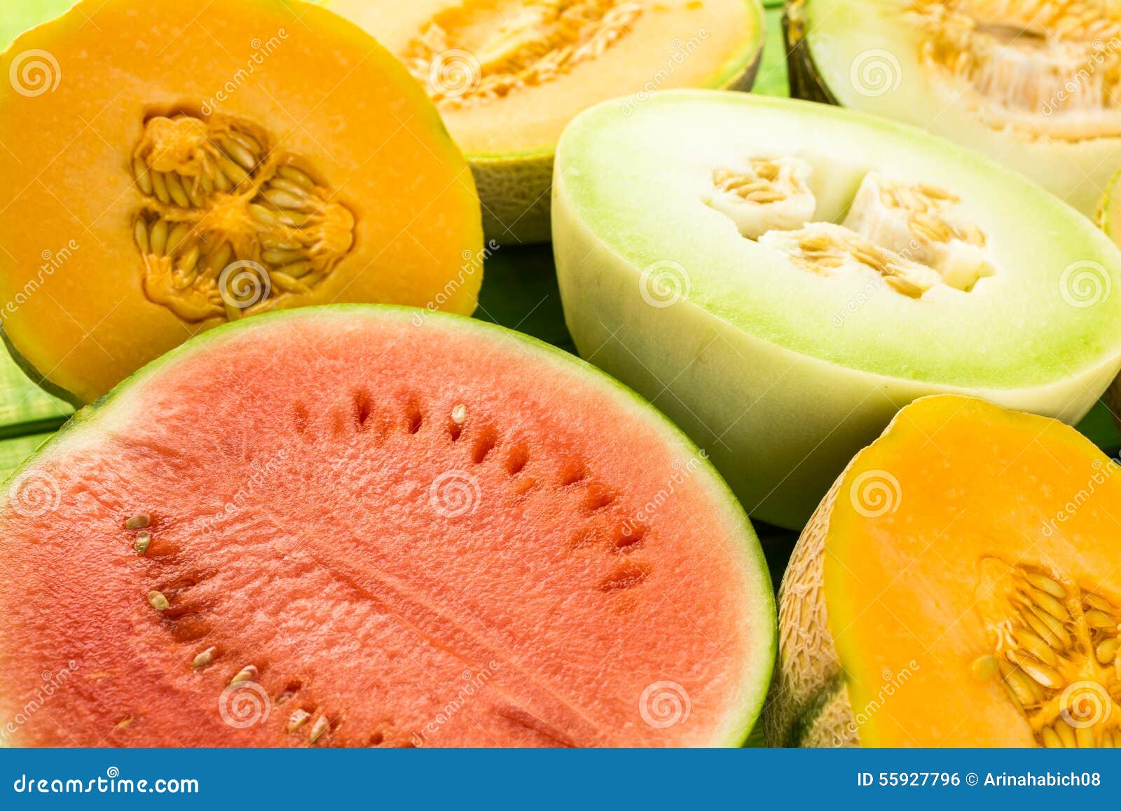 Melons stock photo. Image of small, cantaloupe, miniature - 55927796