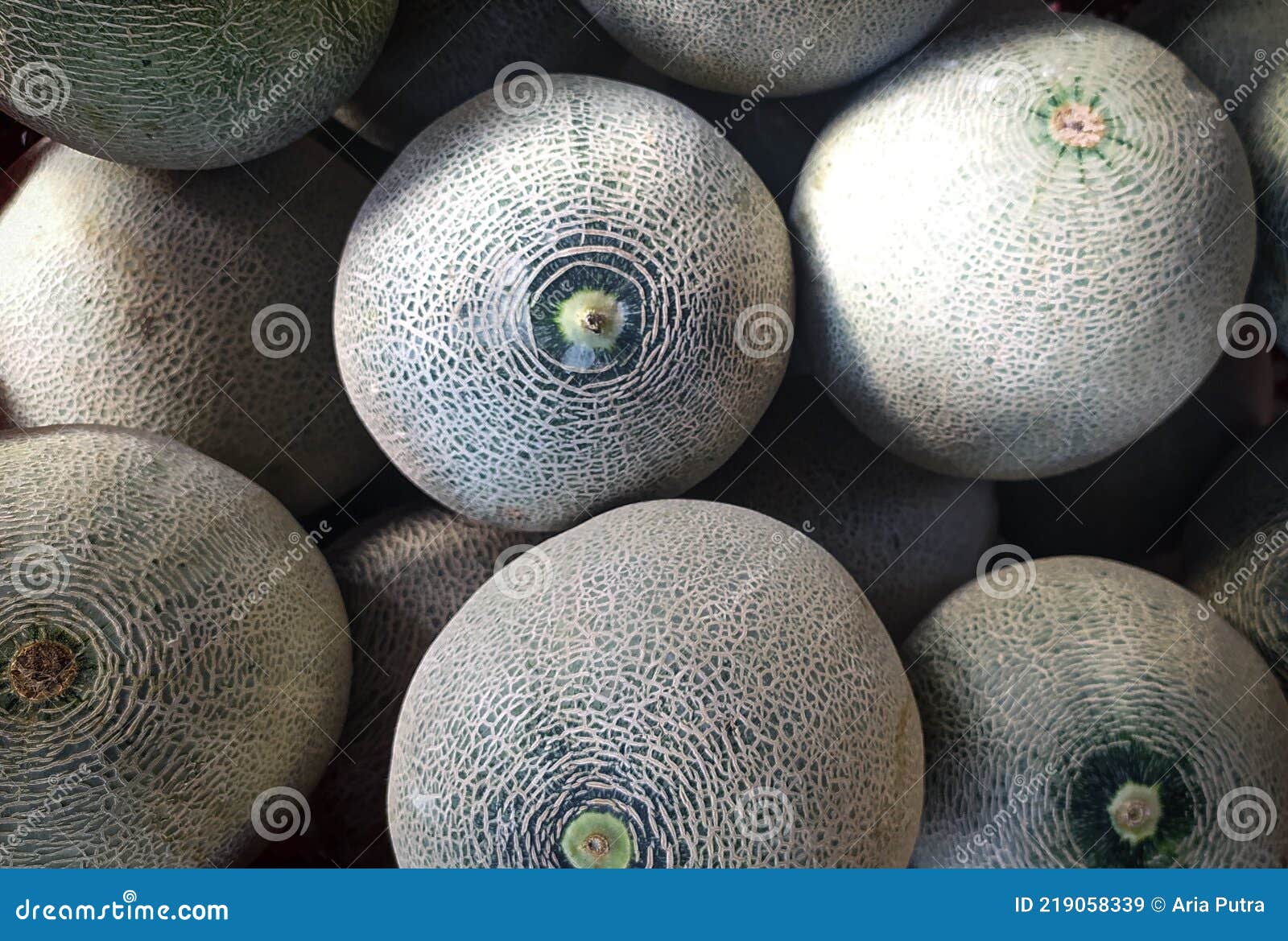 Melons view from above stock image. Image of round, sell - 219058339