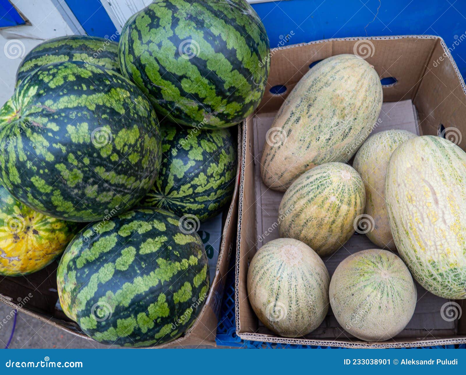 Melons and Watermelons in Cardboard Boxes on the Market Stock Image ...