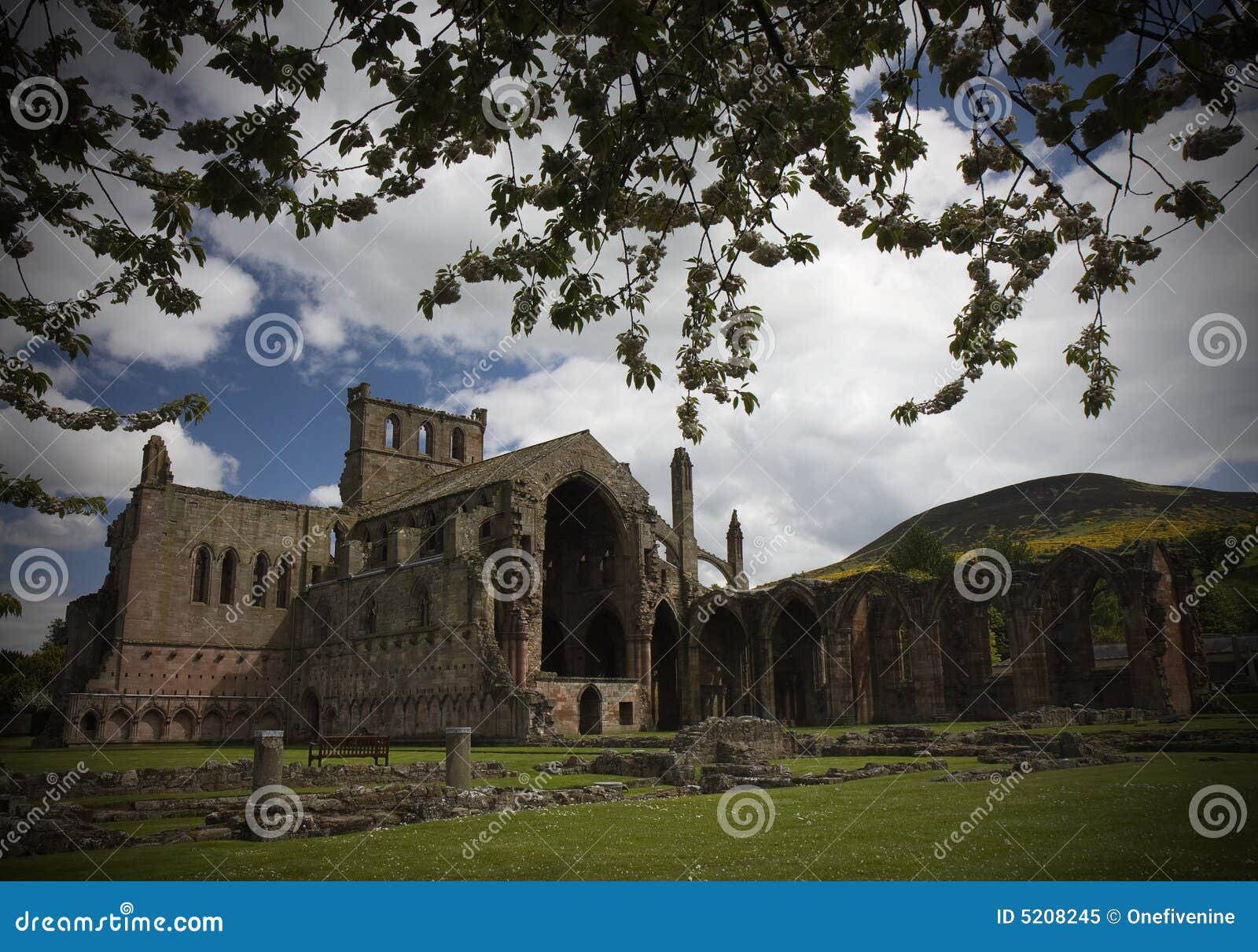 Melrose Abbey Scotland stock image. Image of england, ruin - 5208245