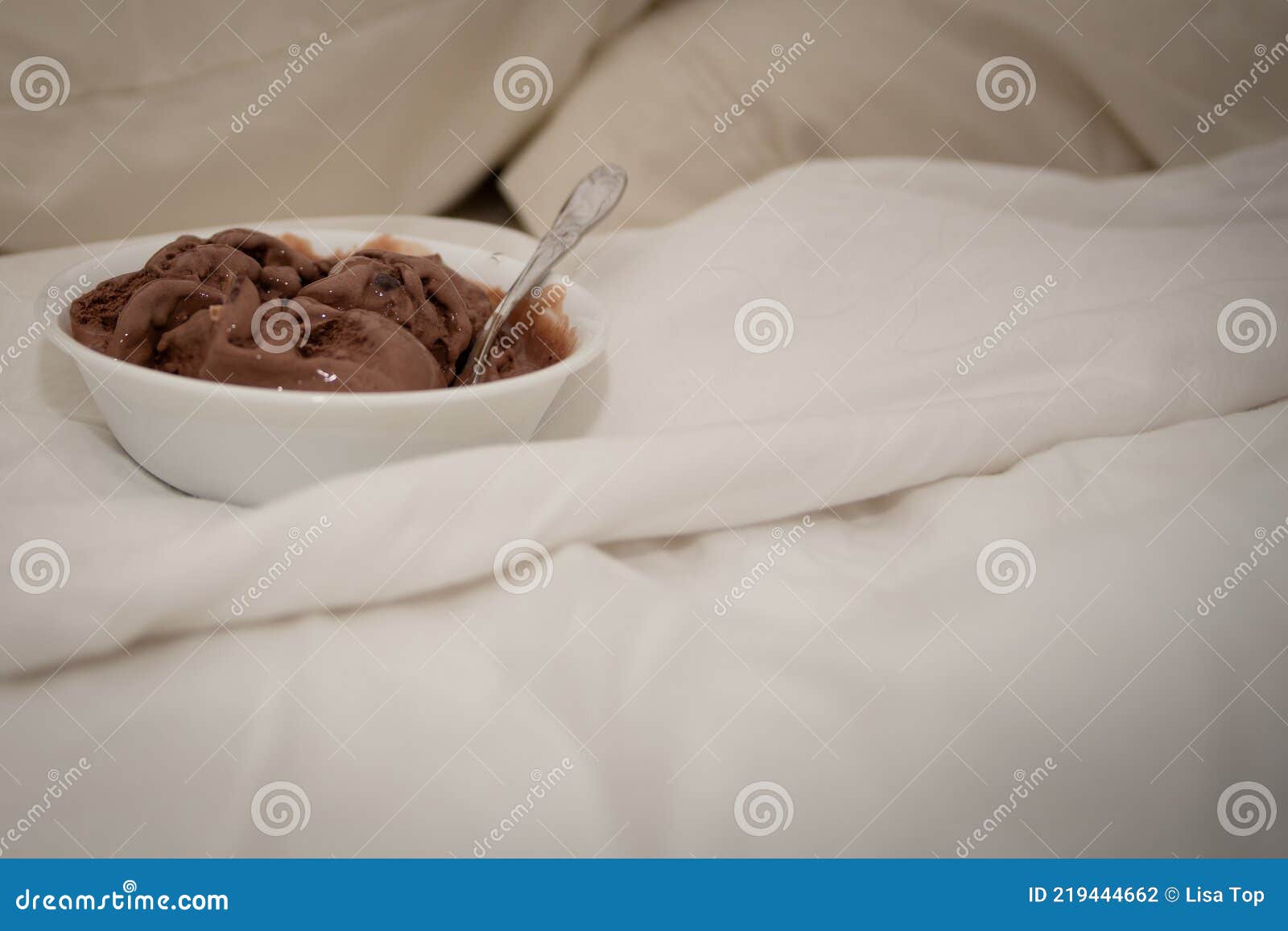 Melted Bowl of Ice Cream stock photo. Image of people - 219444662