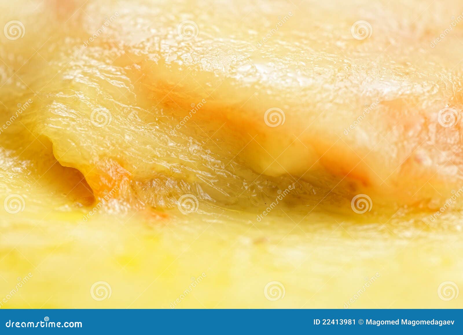 Melted cheese stock image. Image of texture, break, dairy - 22413981