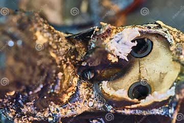 Melted Electrical Outlet after Fire Color Stock Photo - Image of ...