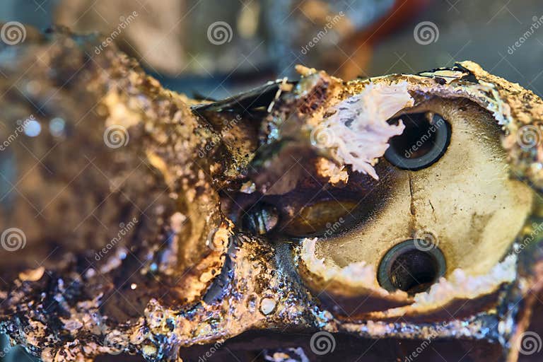 Melted Electrical Outlet after Fire Color Stock Photo - Image of ...