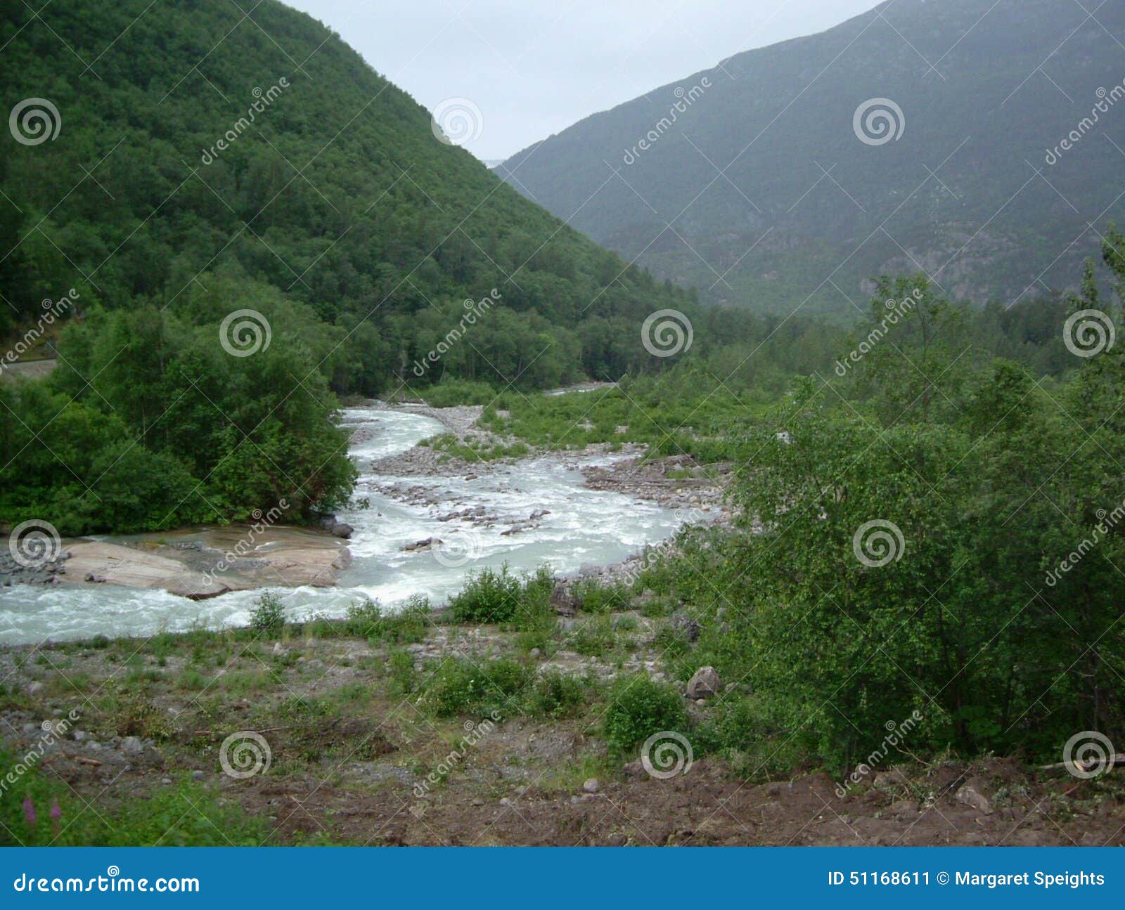 Melting Glacial Stream stock image. Image of forestry - 51168611