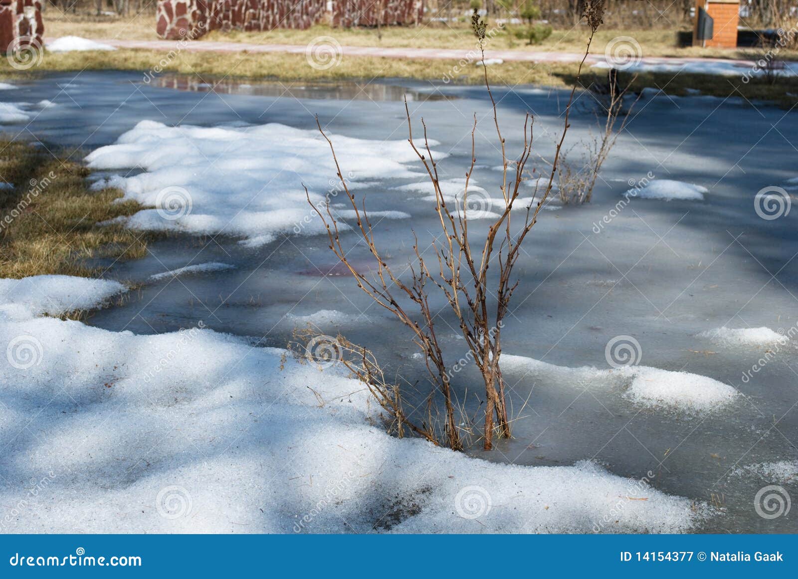 Melting ice stock image. Image of purity, cube, close - 14154377