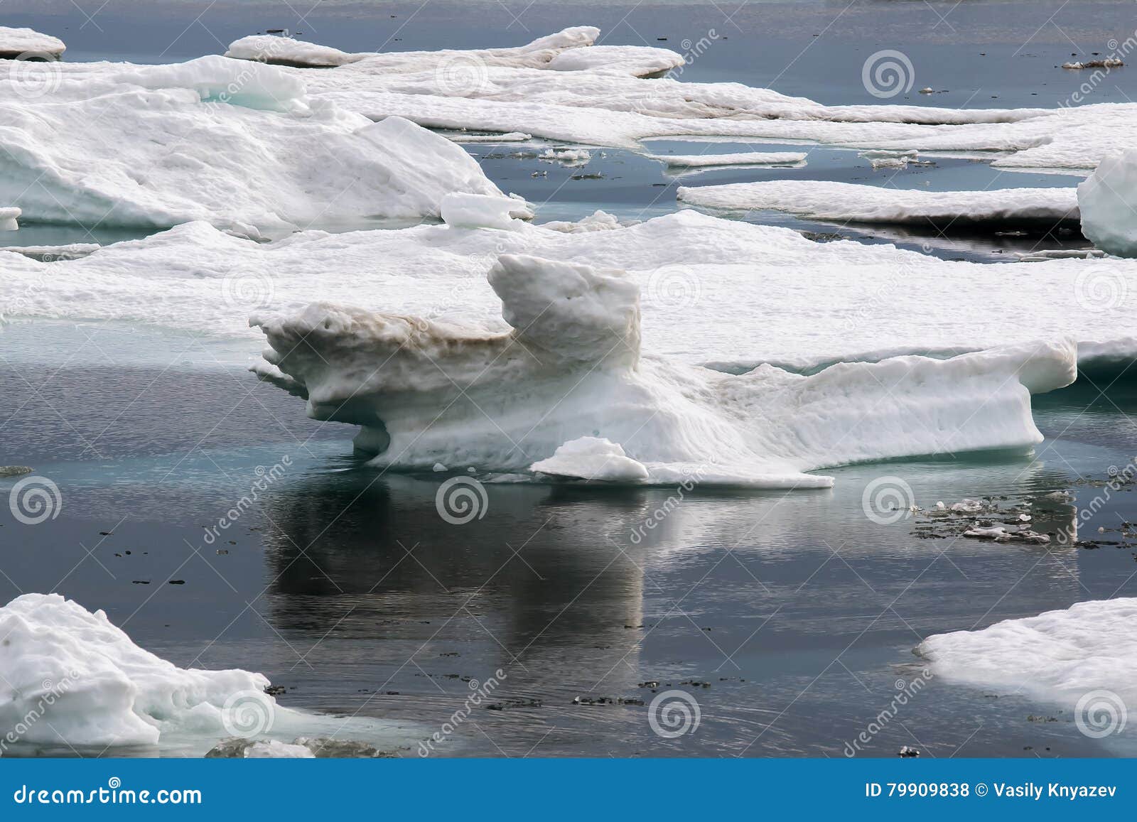 Melting ice in the Arctic stock photo. Image of climate - 79909838