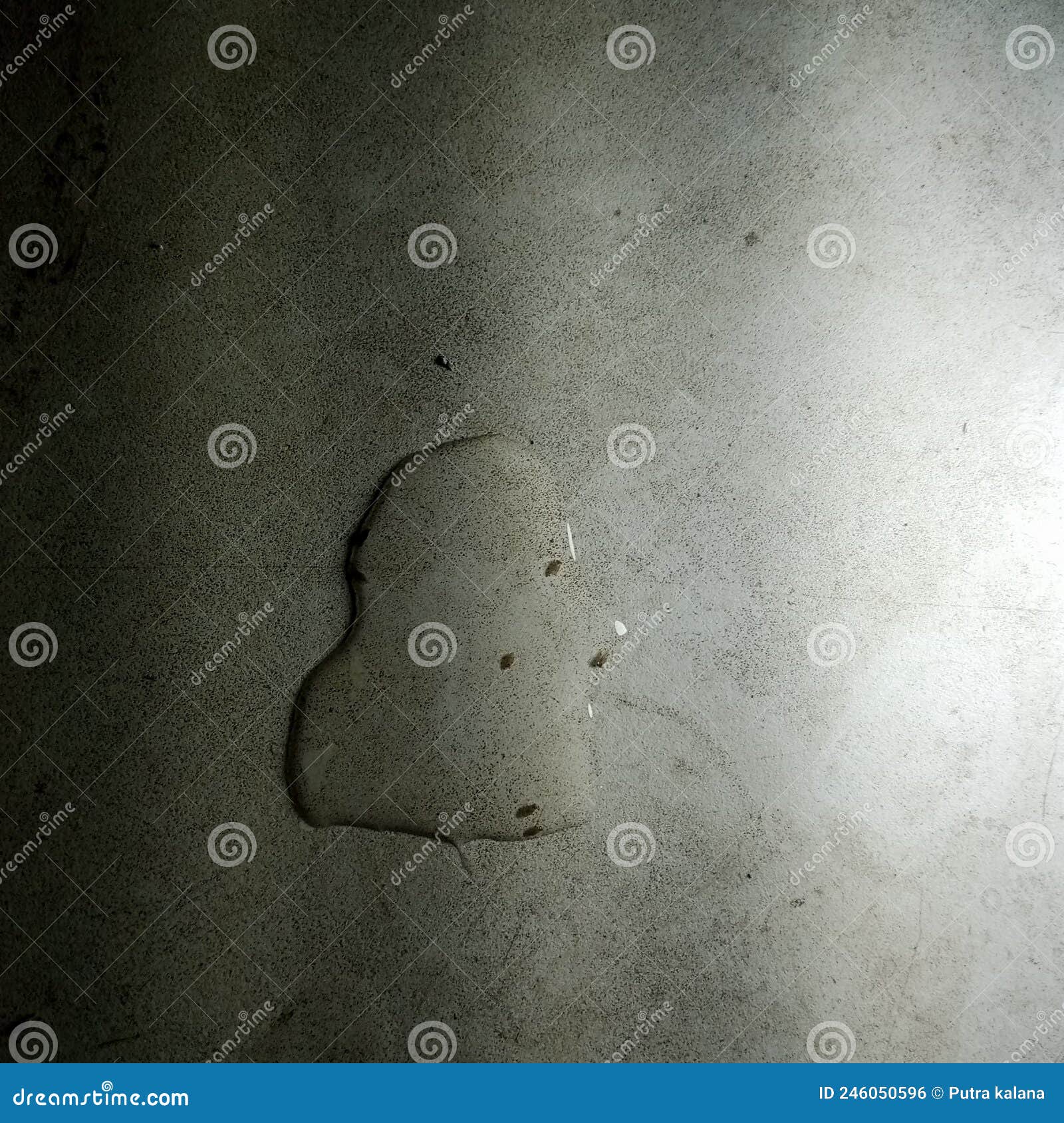 Melting Ice Cubes on Top of the Fridge Have Landed on a Species of Flea ...