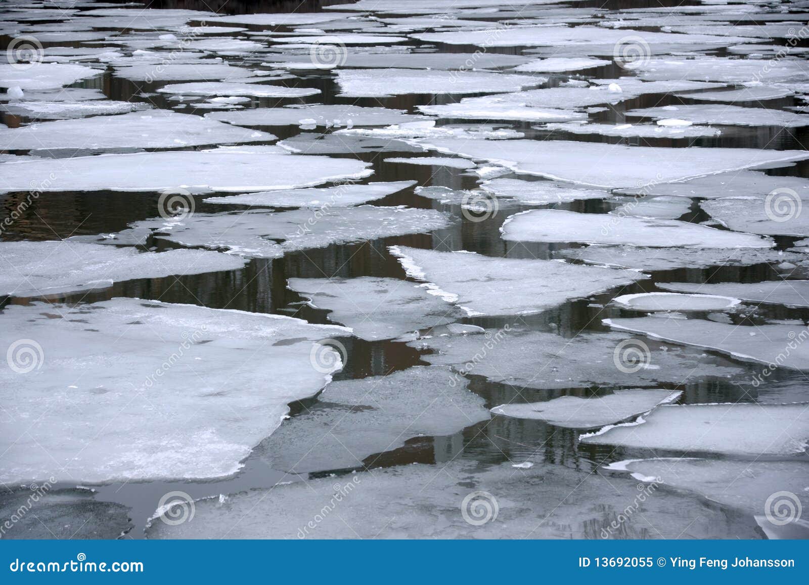 Melting ice floes in water stock image. Image of antarctic - 13692055