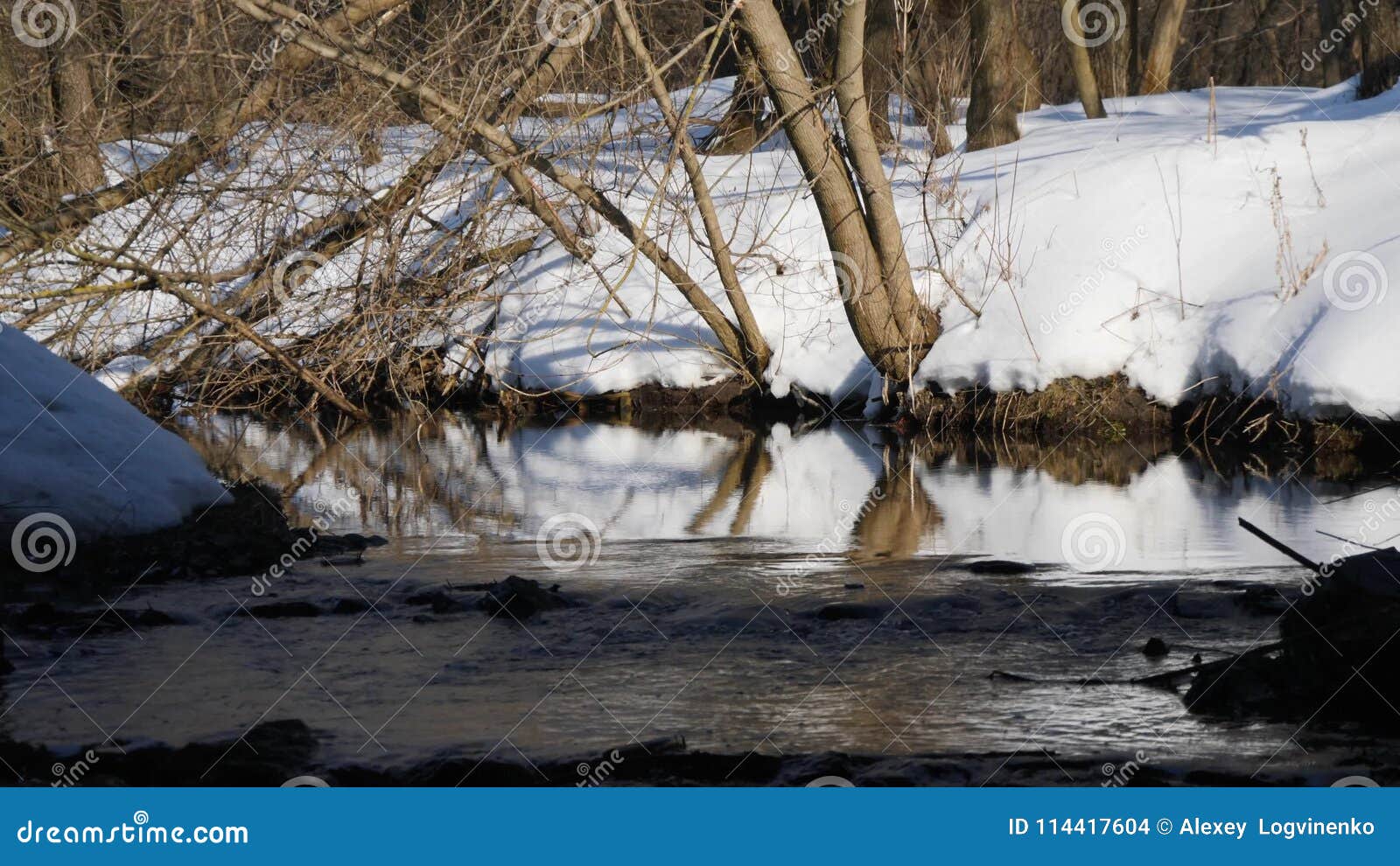 Melting Ice on the River in the Forest, White Snow on the River Banks ...