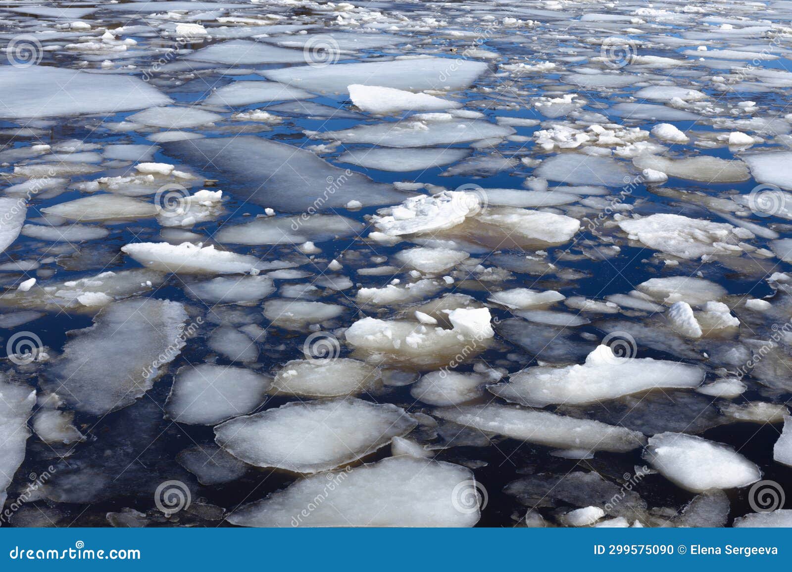 Melting ice on the river stock photo. Image of scenery - 299575090