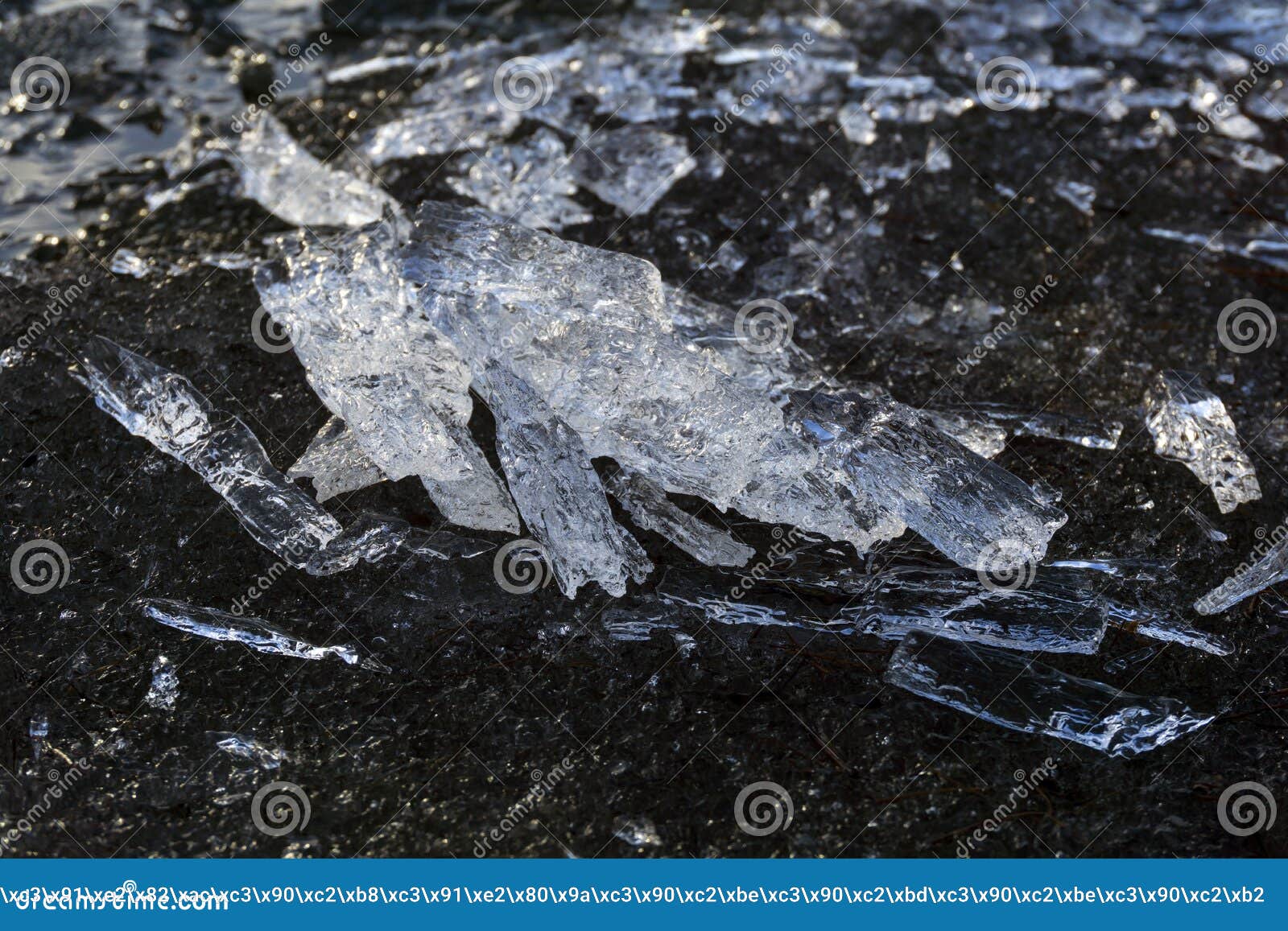 Melting Ice in the Spring on the Shore of the Pond Stock Photo - Image ...
