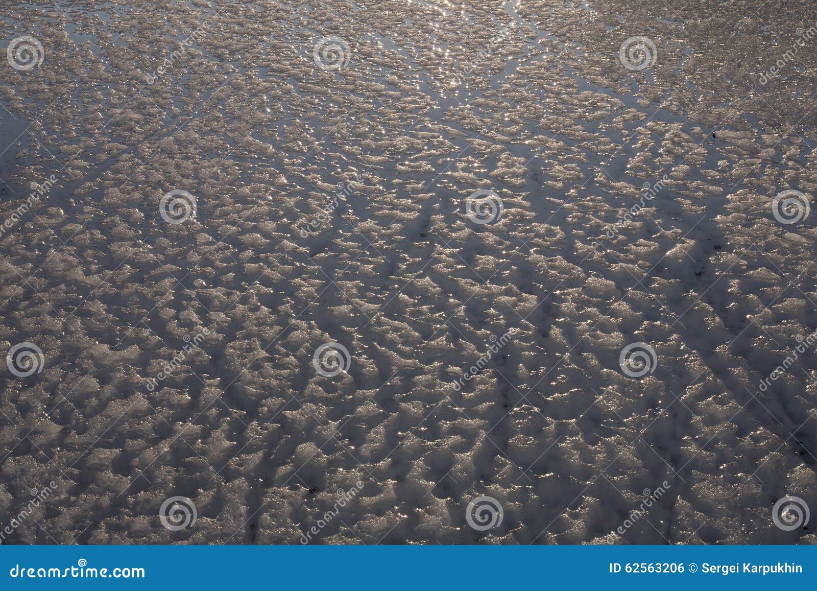 Melting ice in the sun. stock photo. Image of melting - 62563206