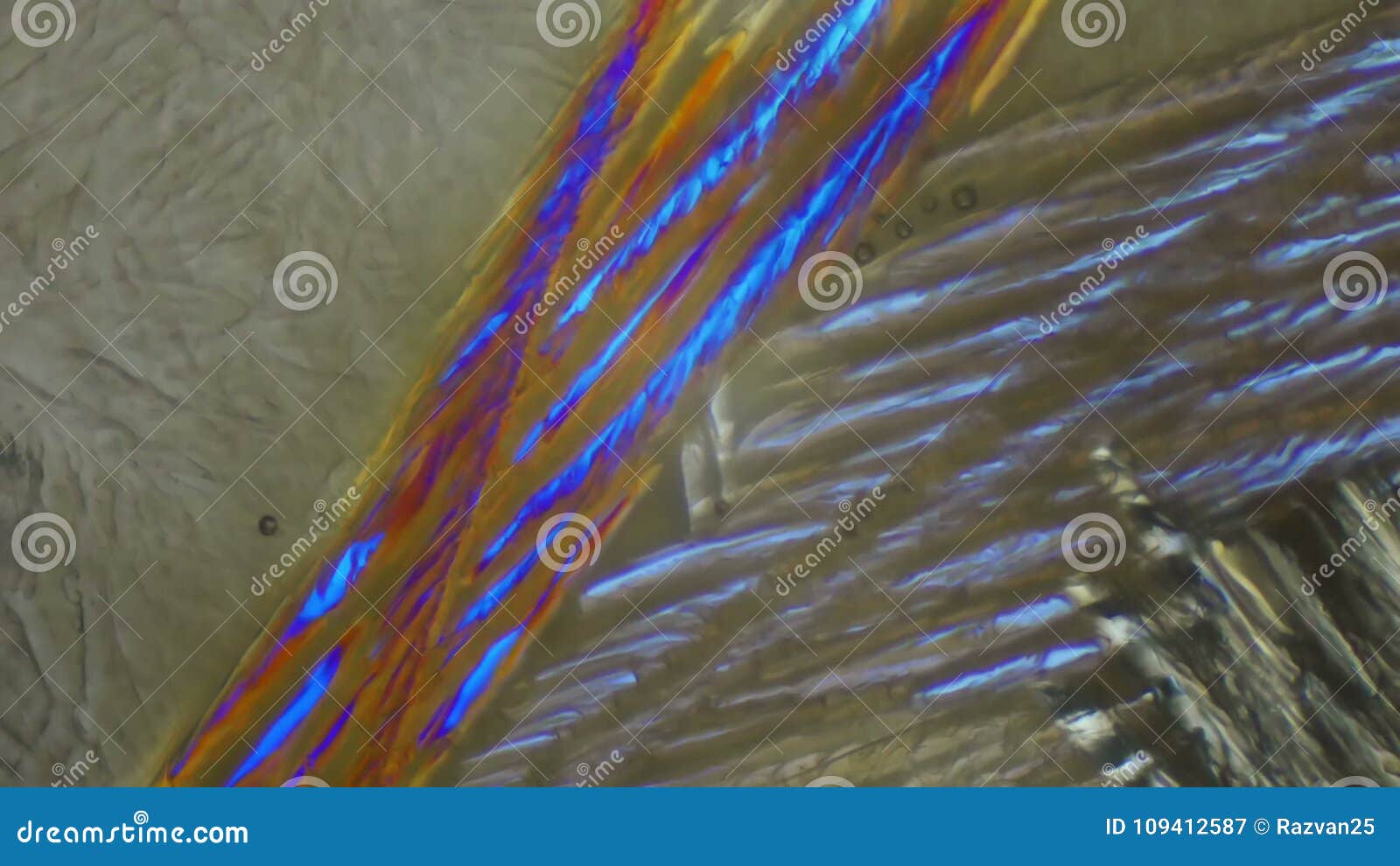 Melting Ice Under Polarized Light Microscope Stock Video - Video of ...