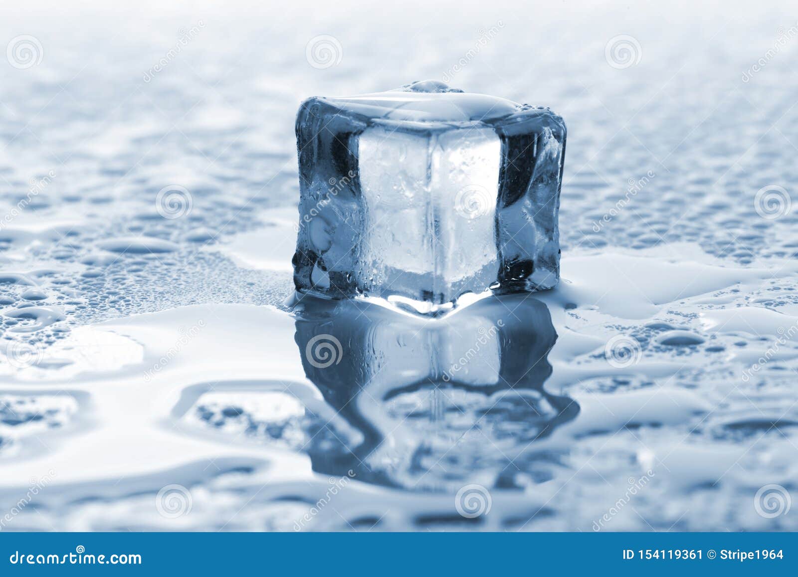 Melting Single Ice Cube with Blue Tone Stock Image - Image of clean ...