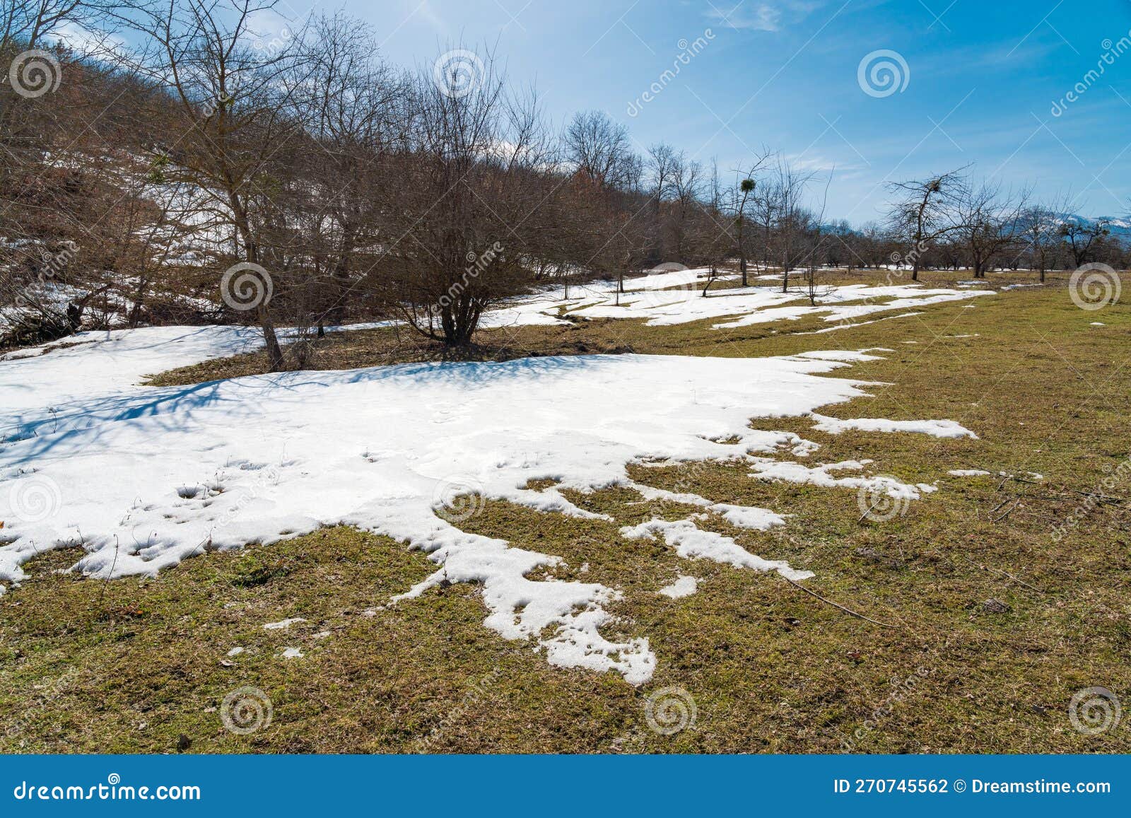 Melting Snow in Early Spring and the First Thaw Stock Photo - Image of ...