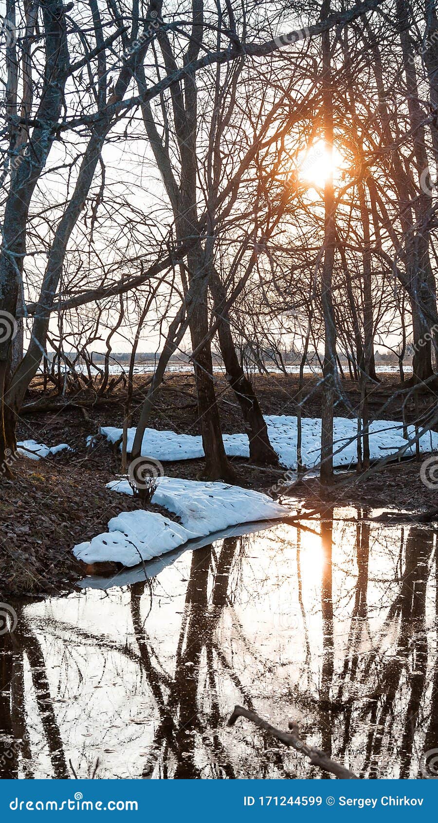 Melting Snow in Fields and Around Trees. Snow Thawed Patches Stock ...