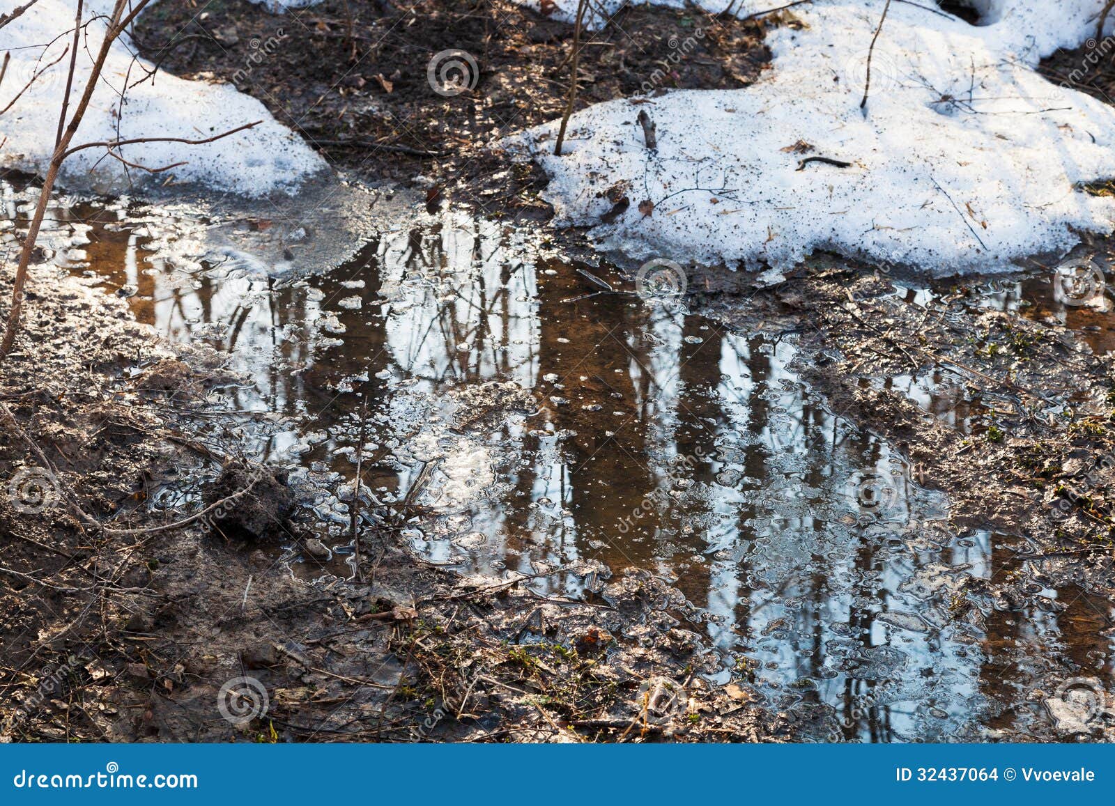Melting snow in forest stock photo. Image of frost, glade - 32437064