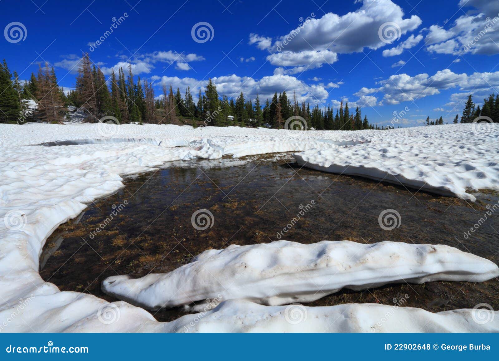 Melting Snow in the Mountains Stock Photo - Image of ecology, beauty ...