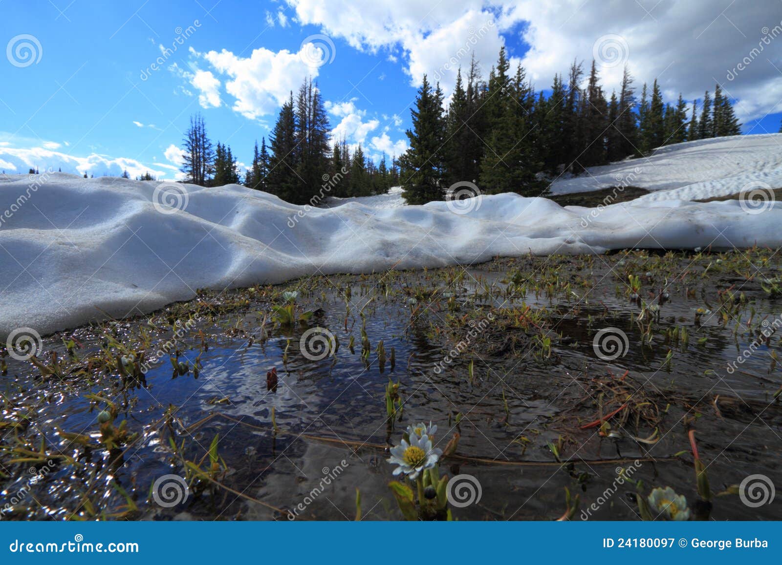 Melting Snow in the Mountains Stock Image - Image of cloudscape ...