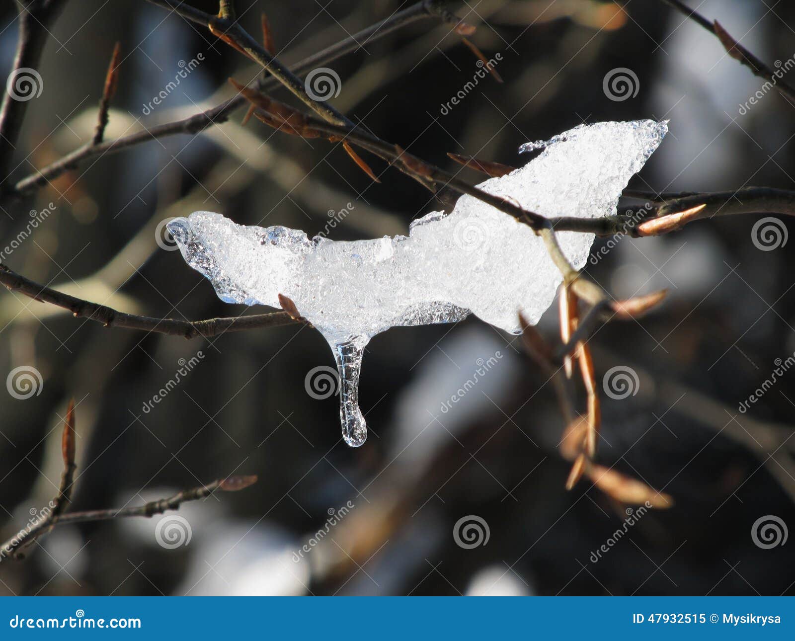 Melting snow stock image. Image of ecology, environment - 47932515
