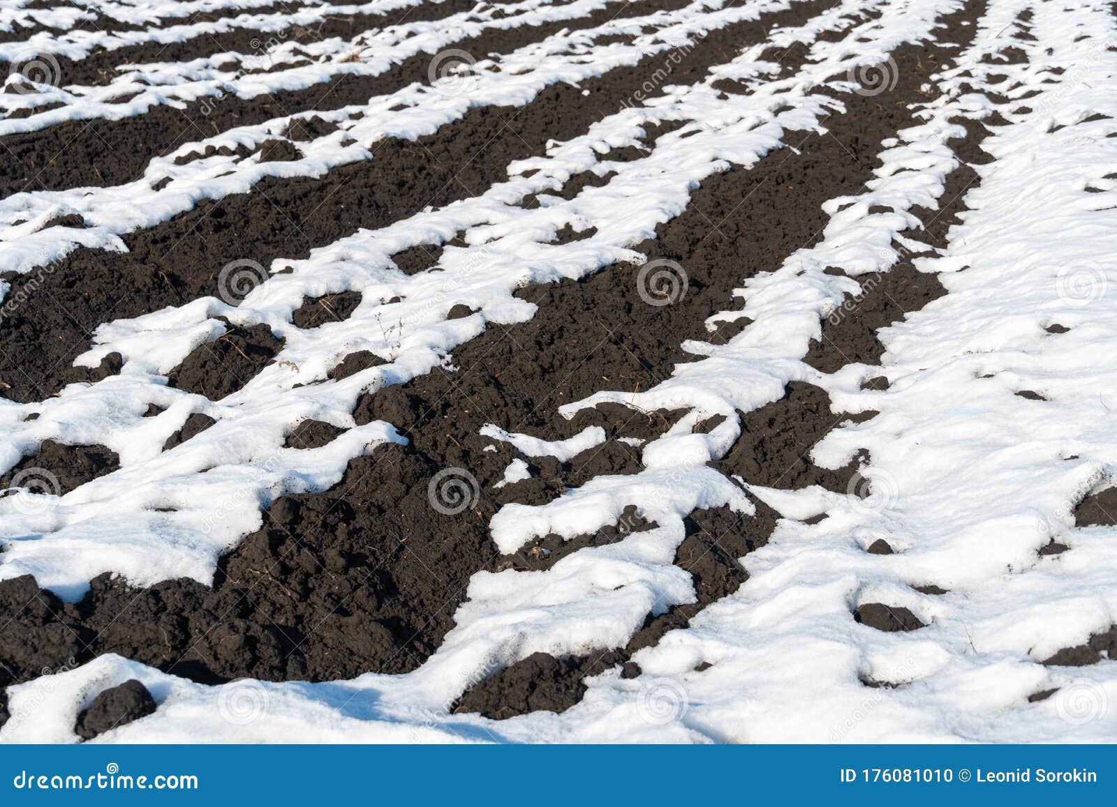 Melting Snow in a Plowed Field Stock Photo - Image of green, frost ...