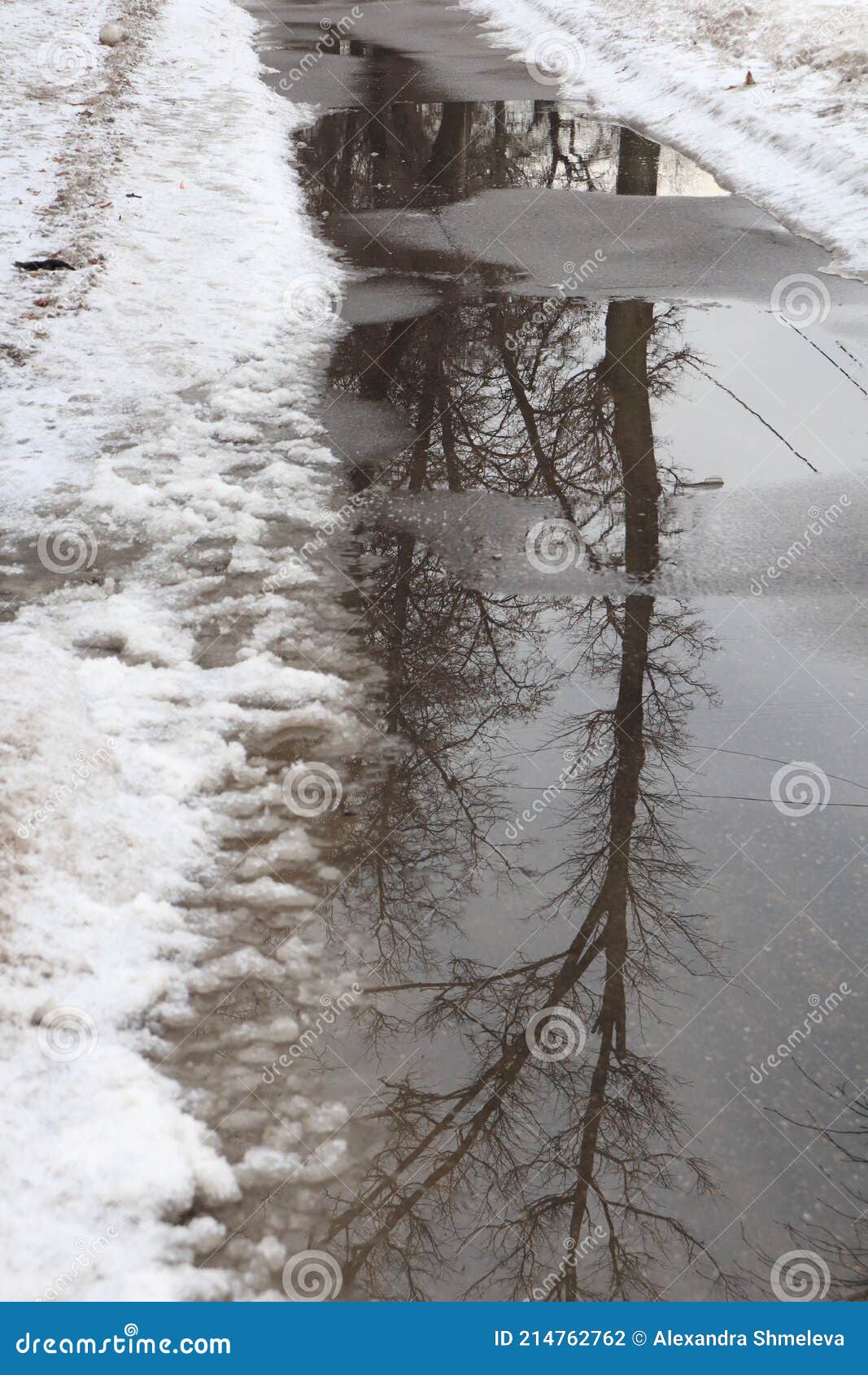 Melting Snow. Puddle on the Road Stock Photo - Image of liquid, house ...