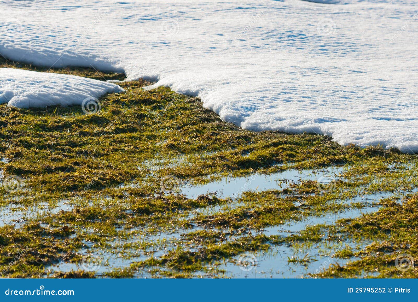 Melting snow stock photo. Image of season, melting, landscape - 29795252