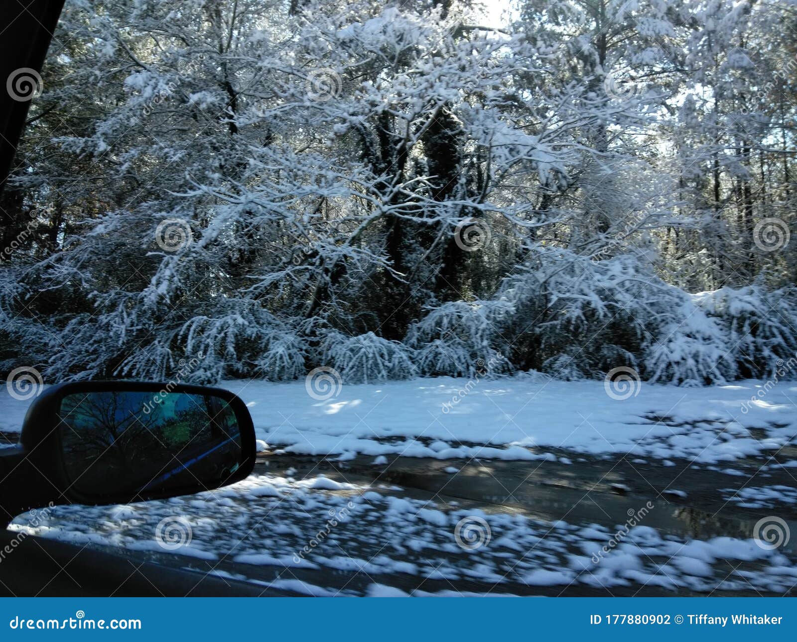Melting snow sad day stock photo. Image of nomoresnow - 177880902