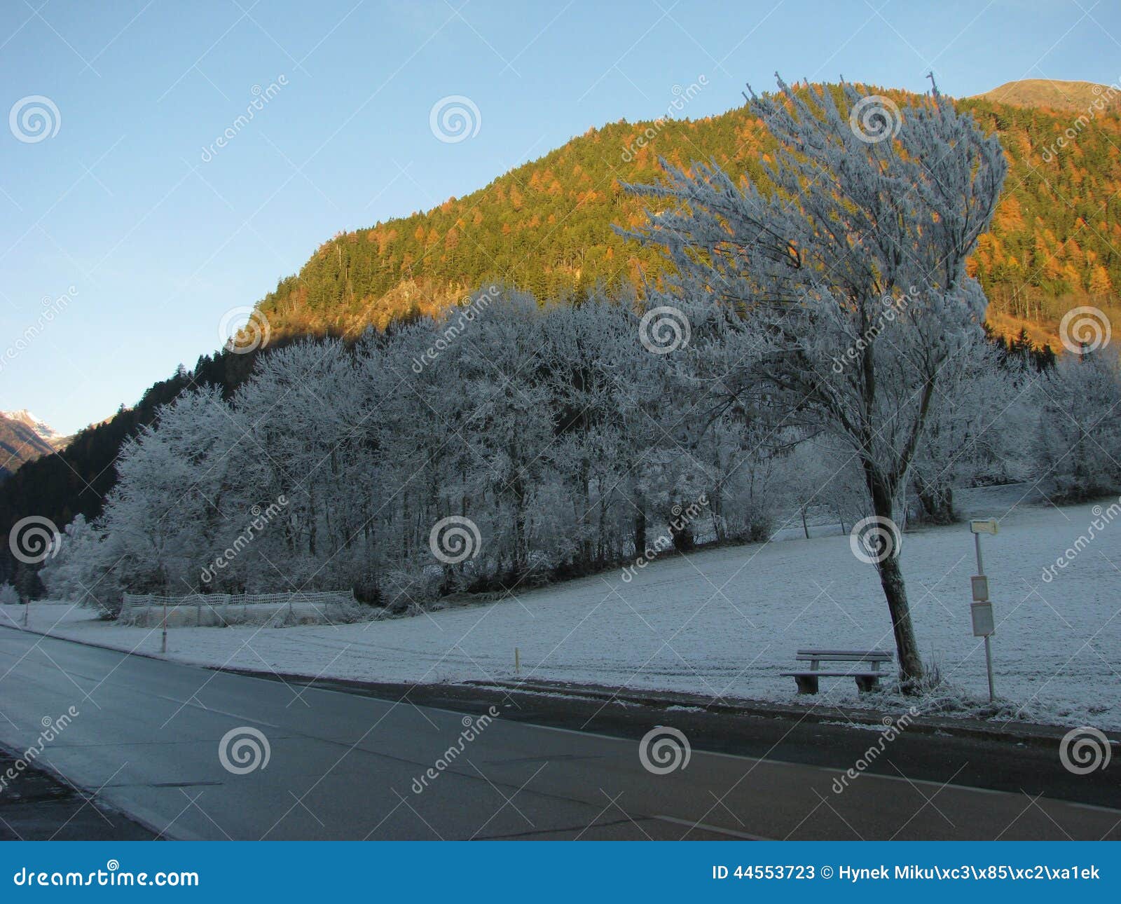 Melting snow in spring stock image. Image of winter, austria - 44553723