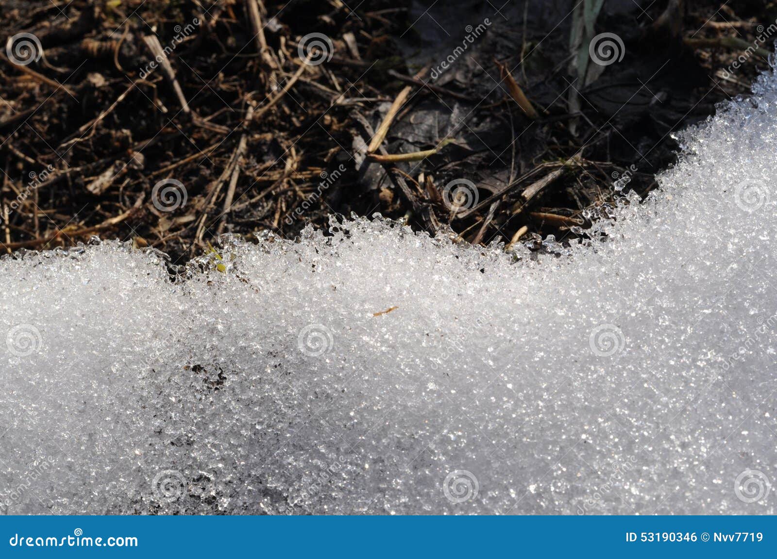 Melting snow stock photo. Image of snow, granular, frost - 53190346