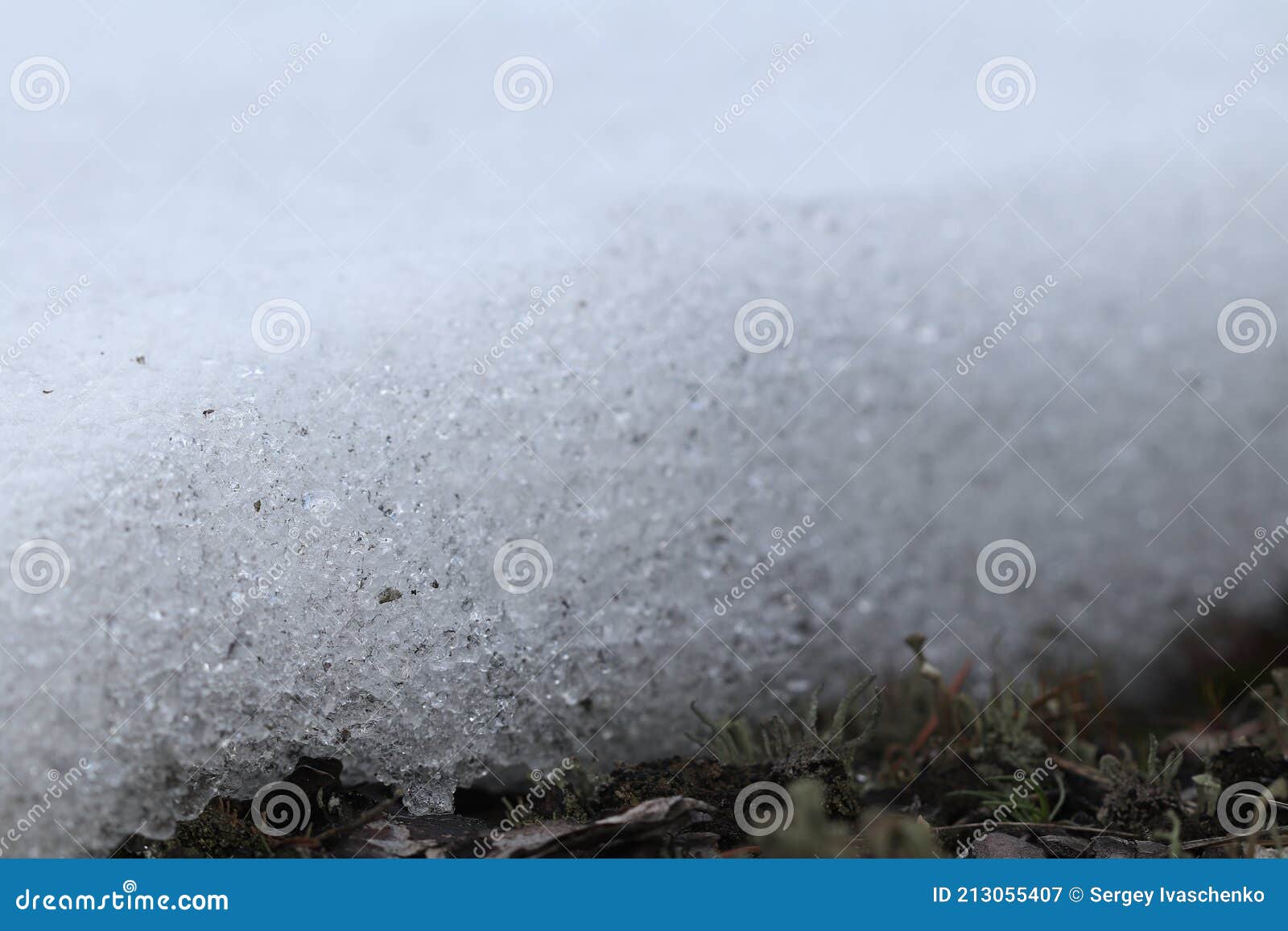 Melted snow. stock image. Image of closeup, melted, snow - 213055407