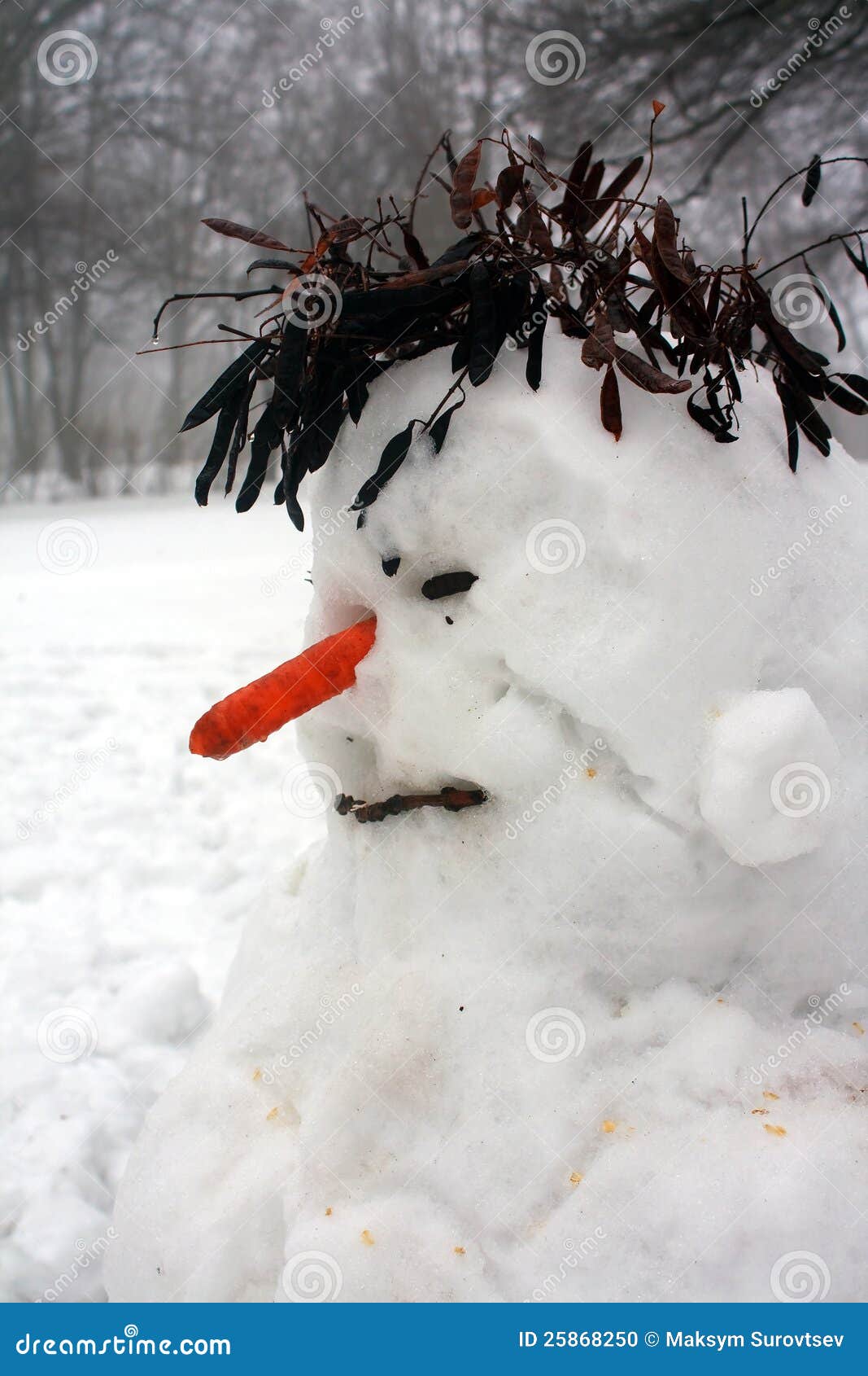 Melting snowman stock photo. Image of melt, frozen, play - 25868250