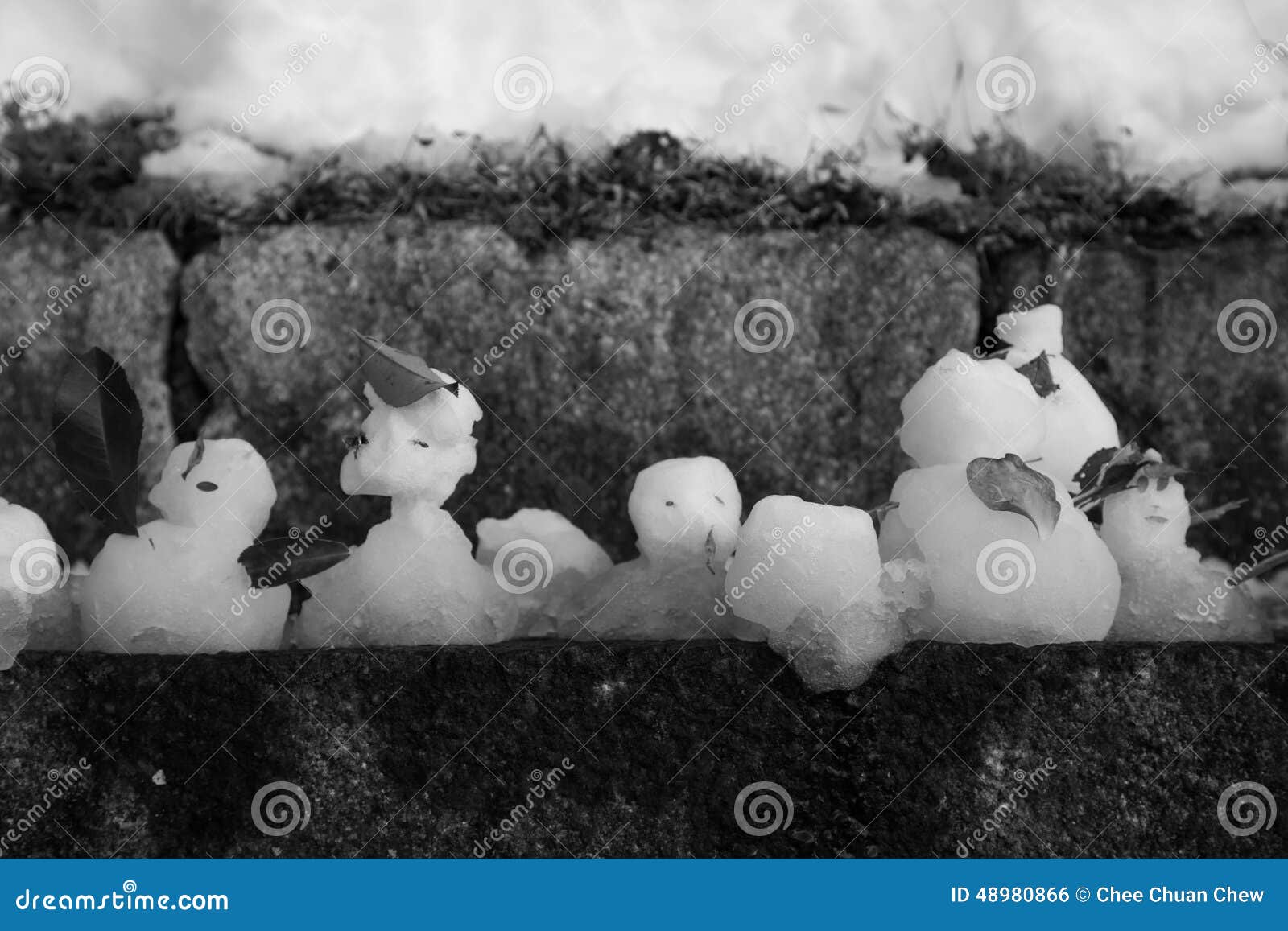 Melting snowmen stock photo. Image of snow, melting, leaves - 48980866
